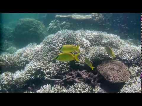 With You — Shorthand Social