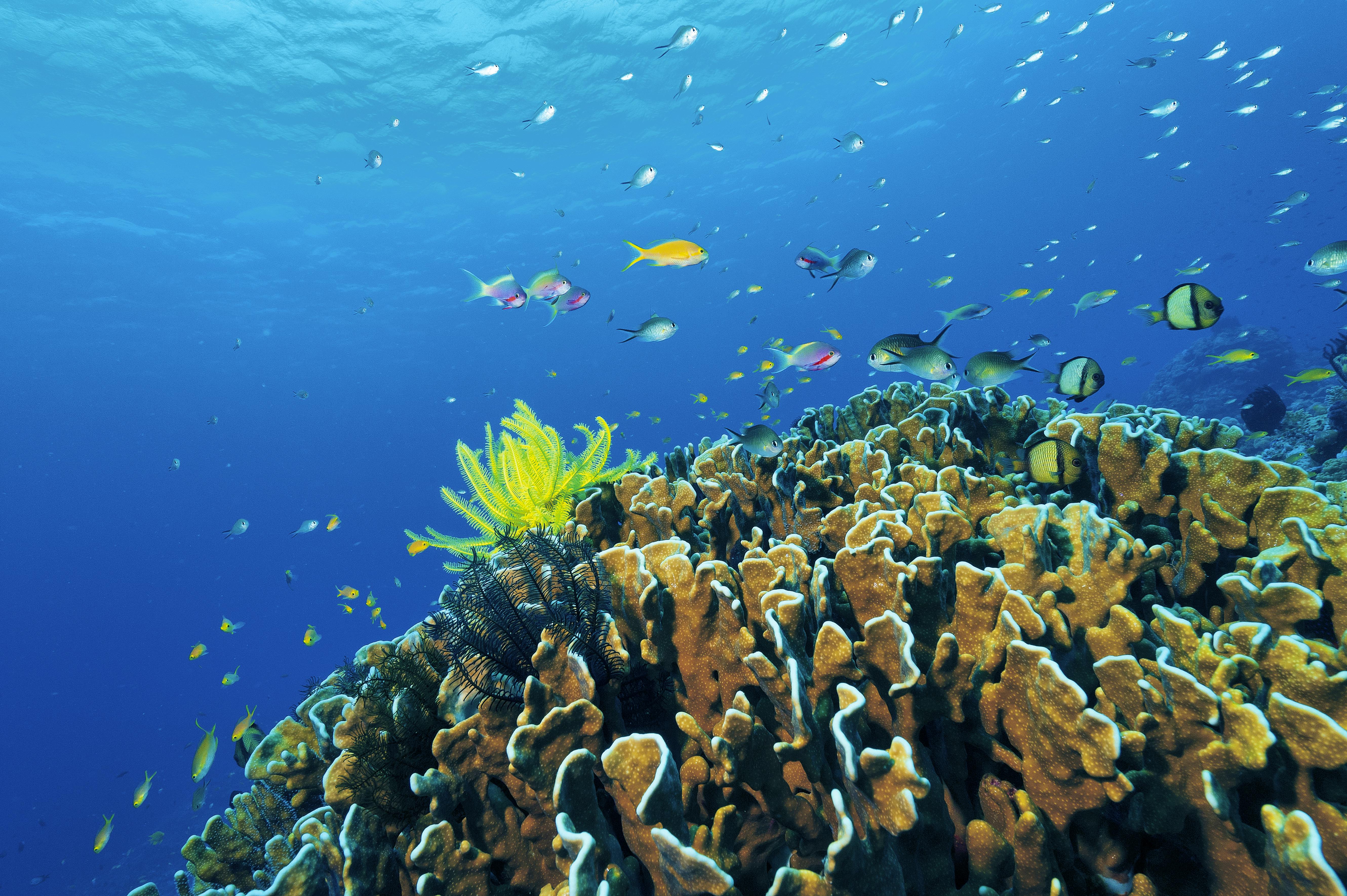 With You — Shorthand Social