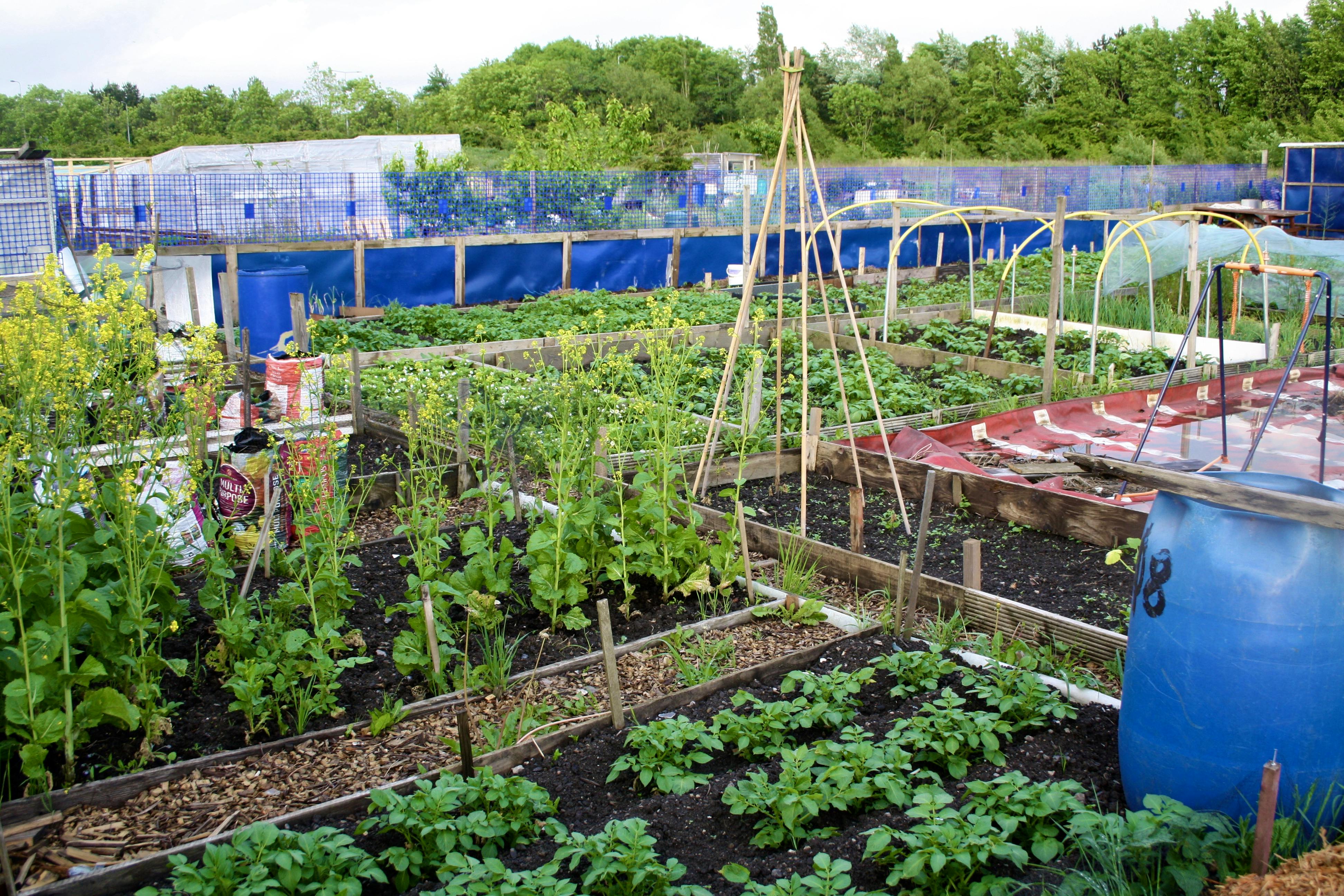 Allotment Meaning