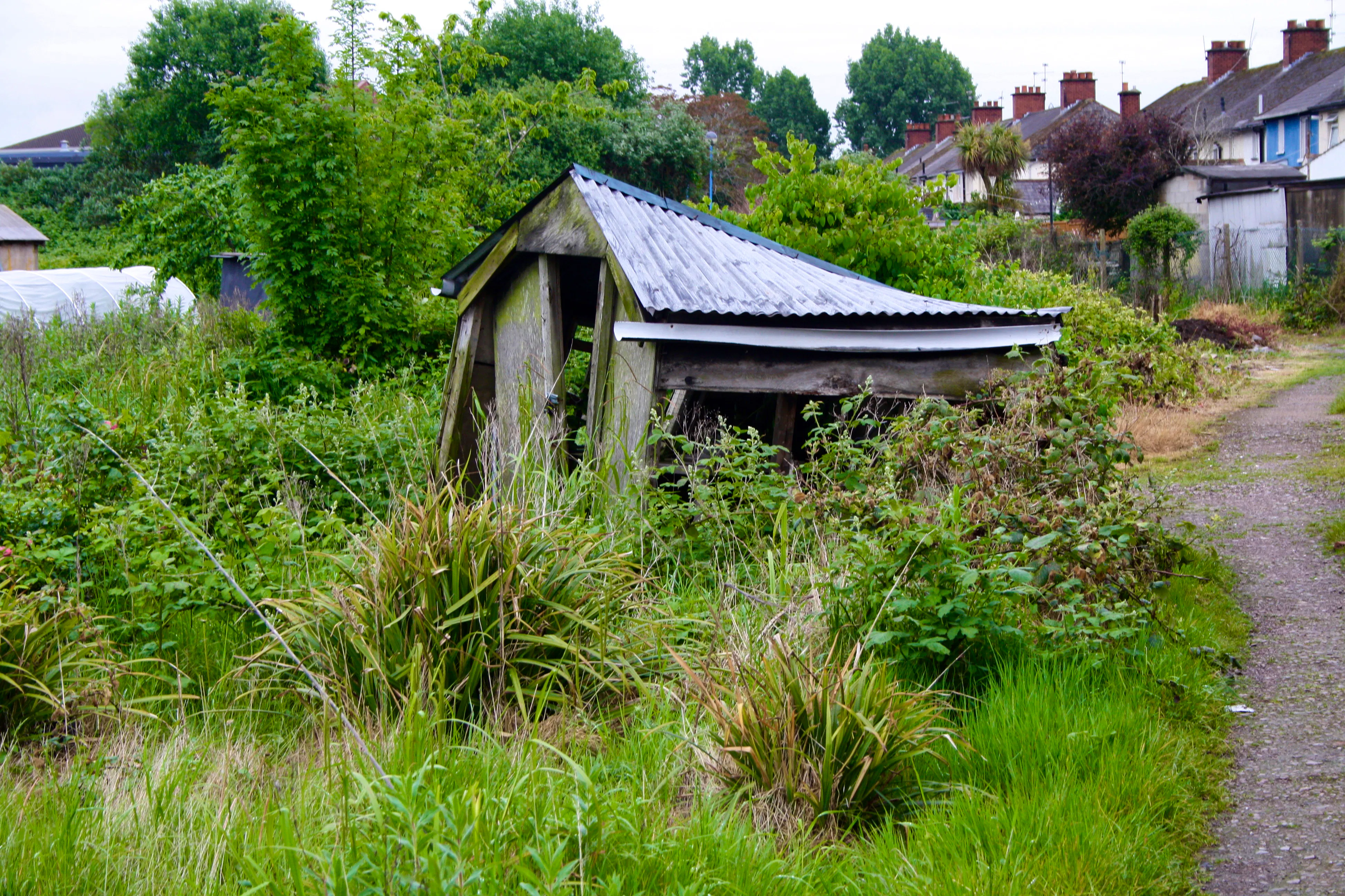 Cardiff"s Allotments: Are we losing the plot? — Shorthand Social
