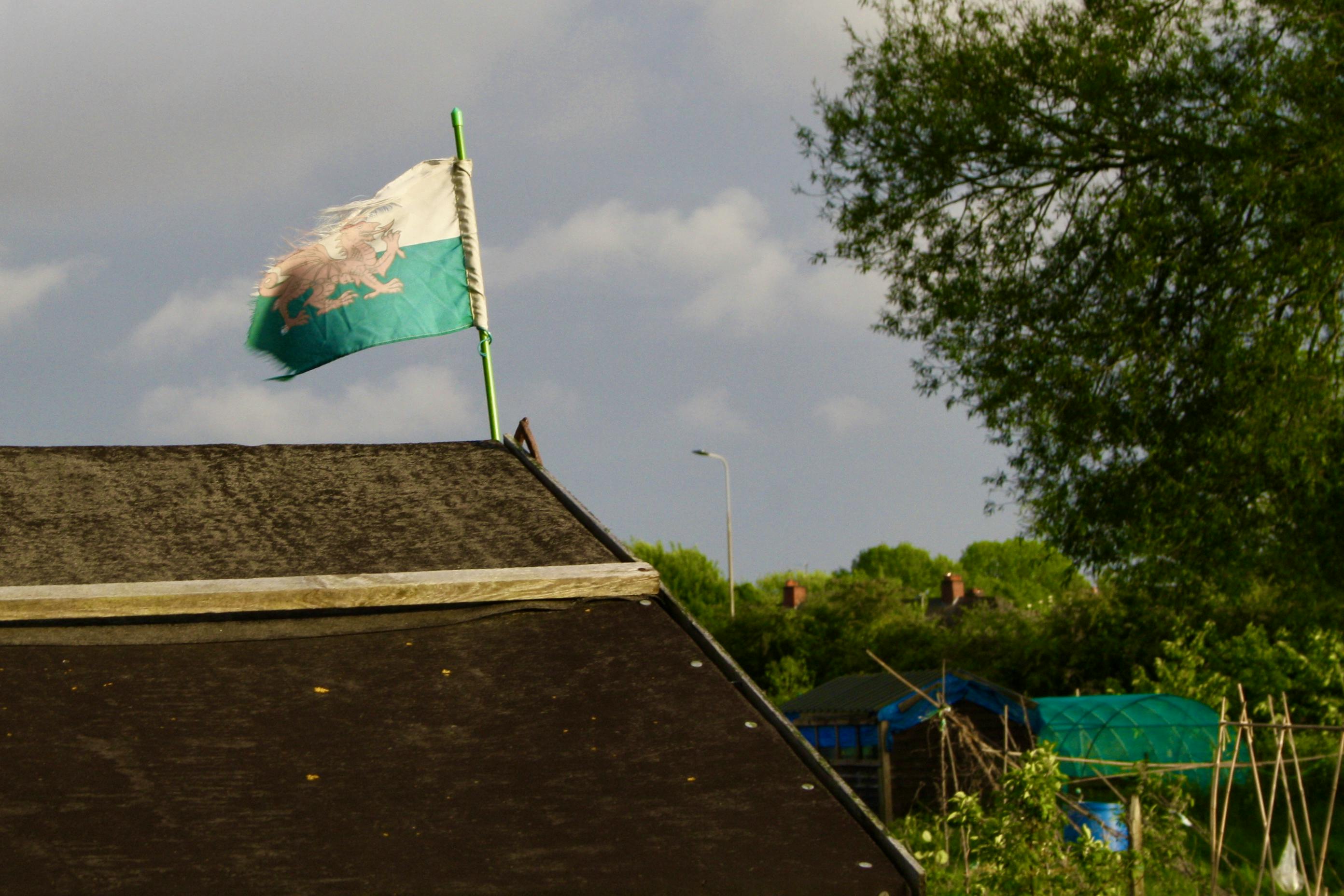 Cardiff"s Allotments: Are we losing the plot? — Shorthand Social