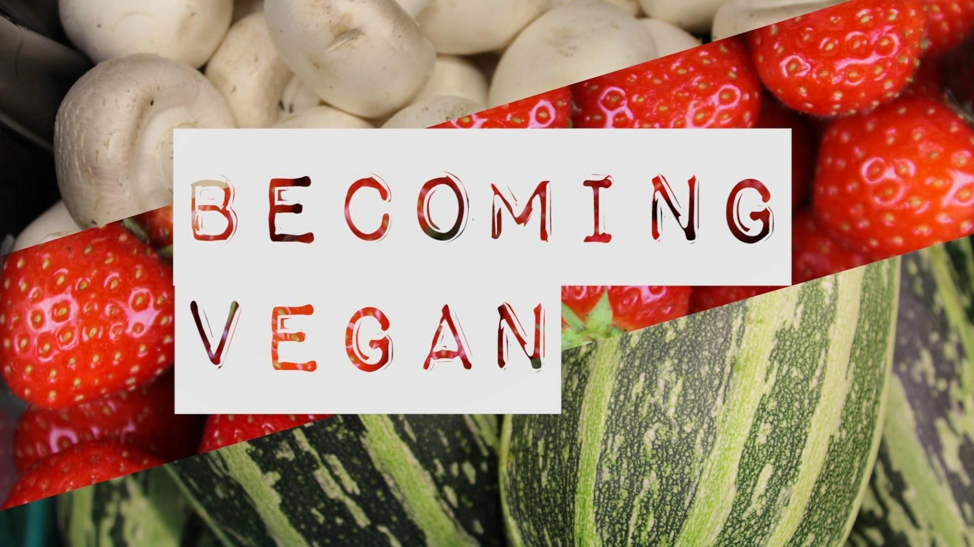 Most important things to know about being a Vegan or Vegetarian ...