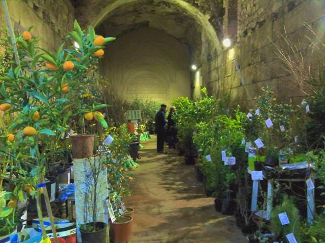 Life in a Dol house 2018 - Week 07 — Shorthand Social