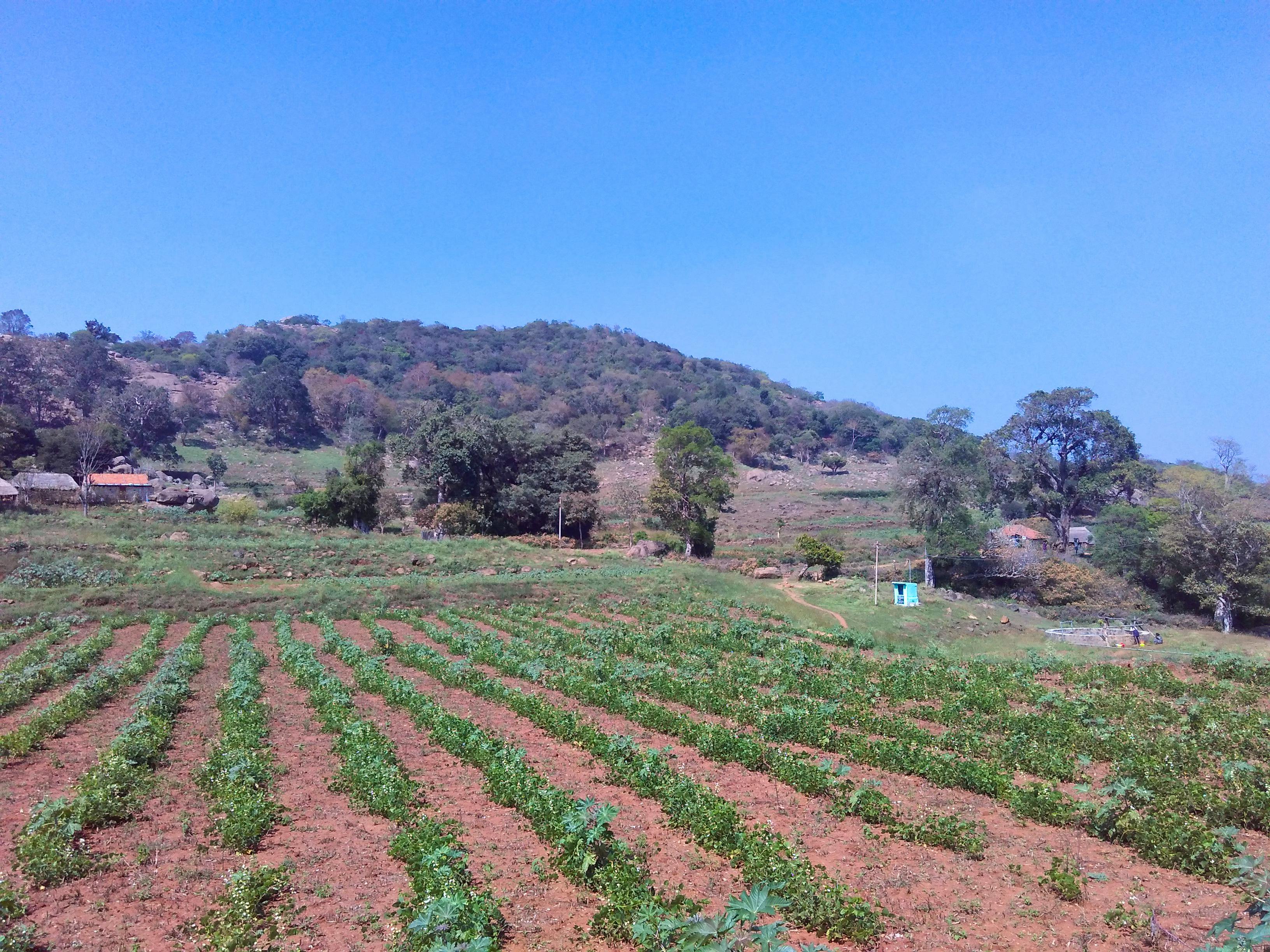 Living in the periphery — Shorthand Social