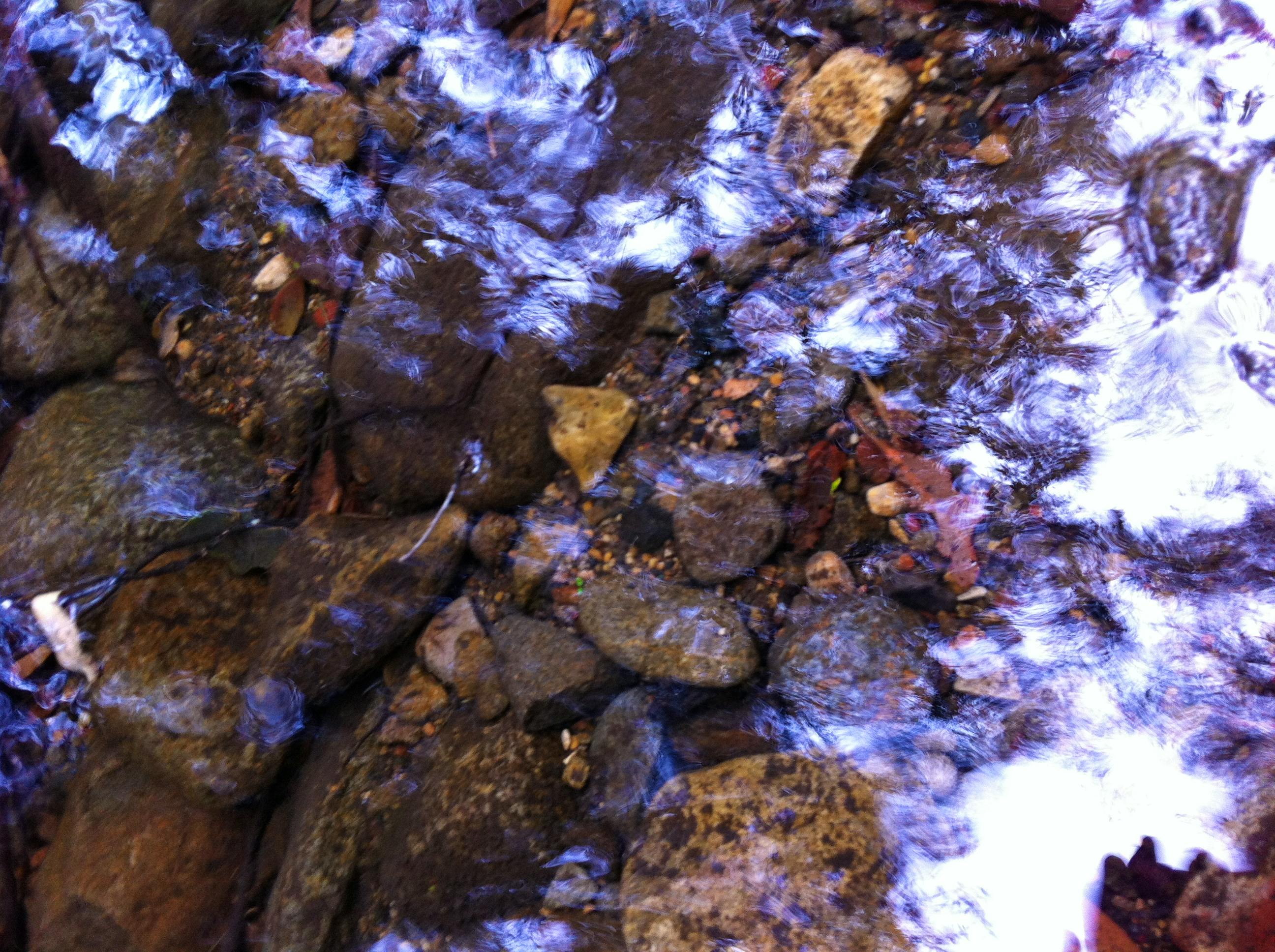 The Hotlands — Shorthand Social