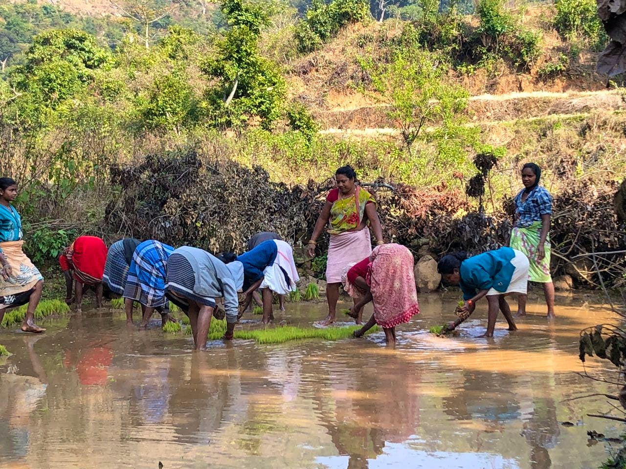 VILLAGES OF PADERU — Shorthand Social