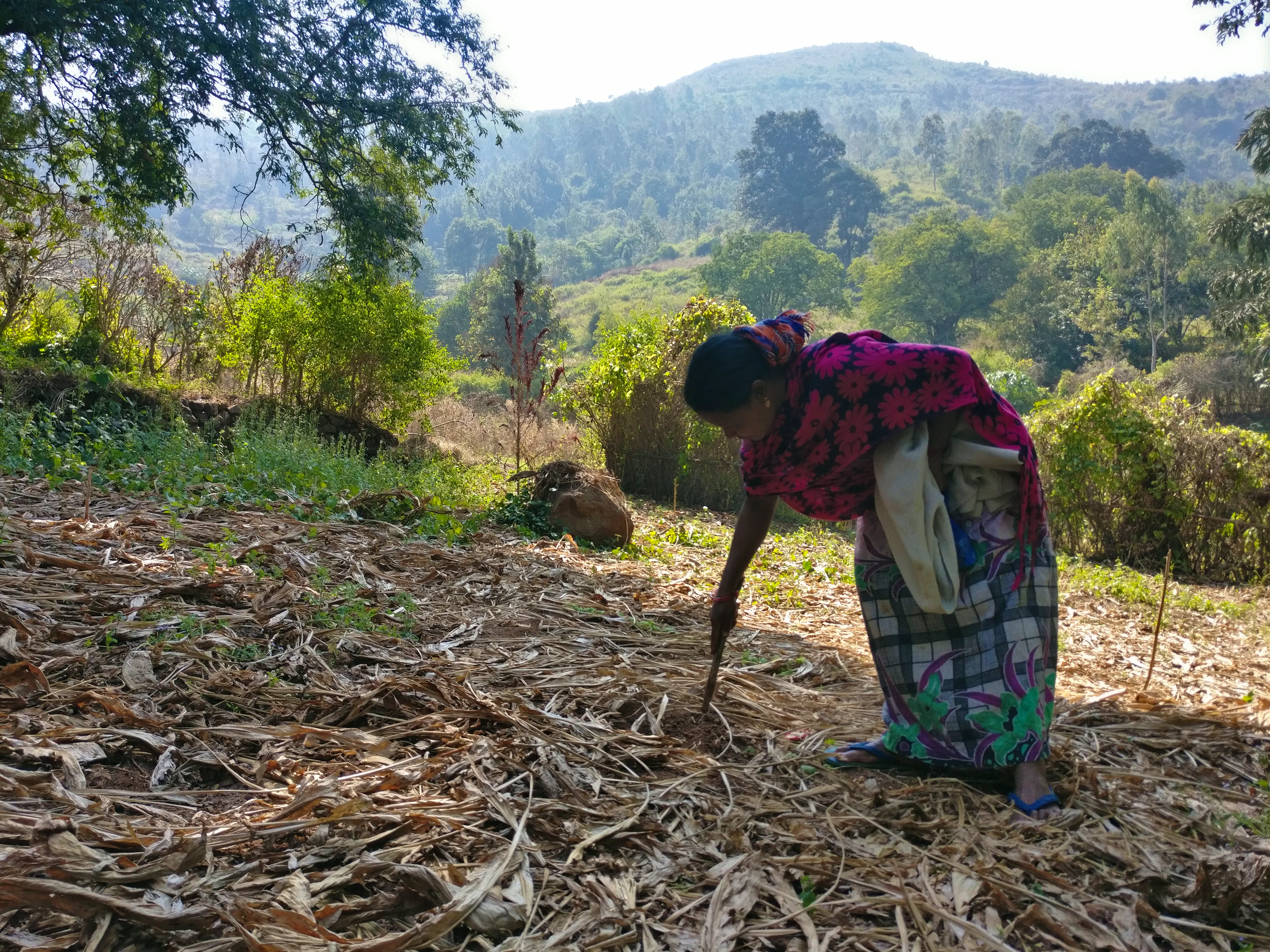 VILLAGES OF PADERU — Shorthand Social