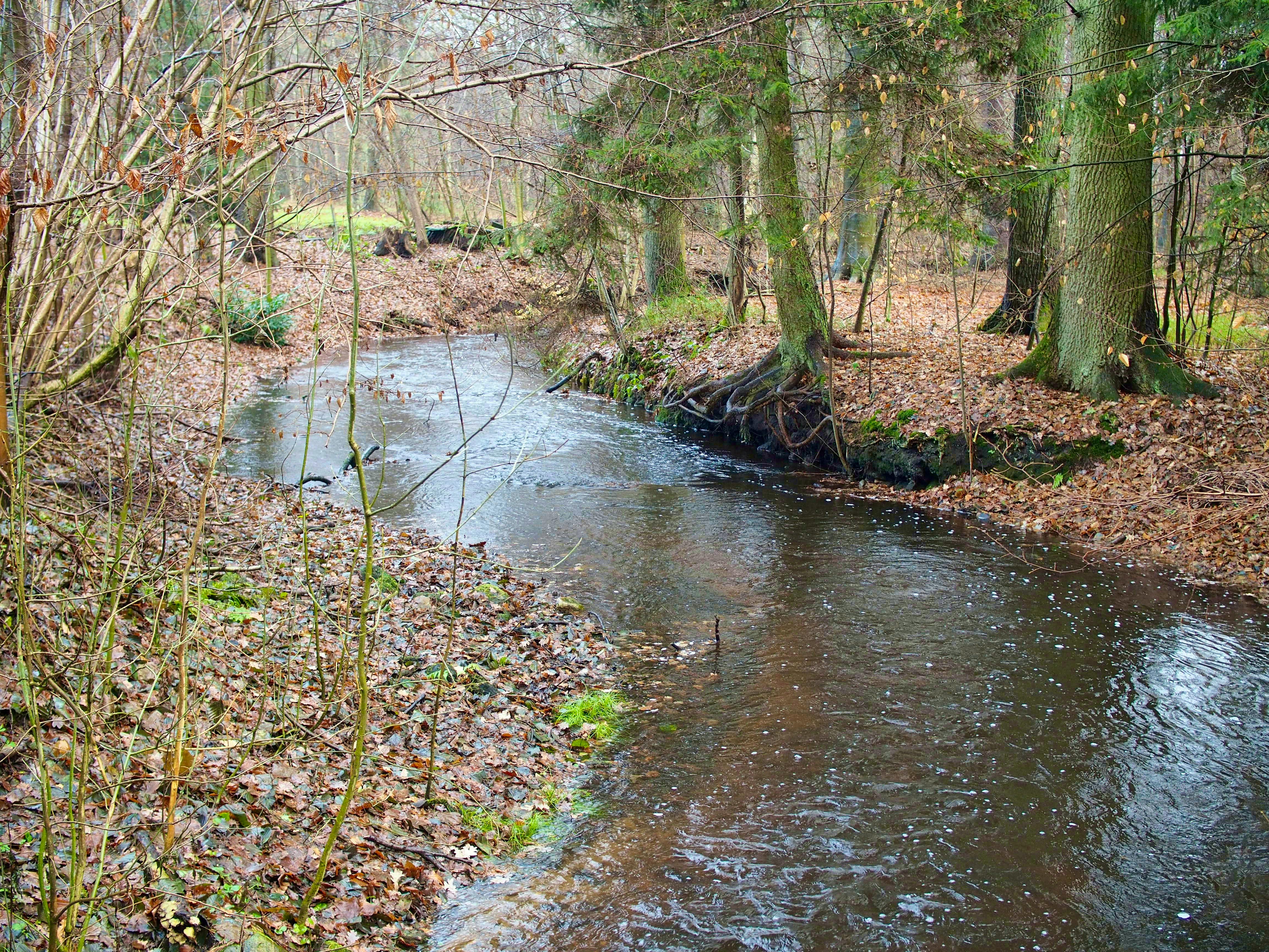 Er heißt mal so, mal so und bleibt dabei doch derselbe — Shorthand Social