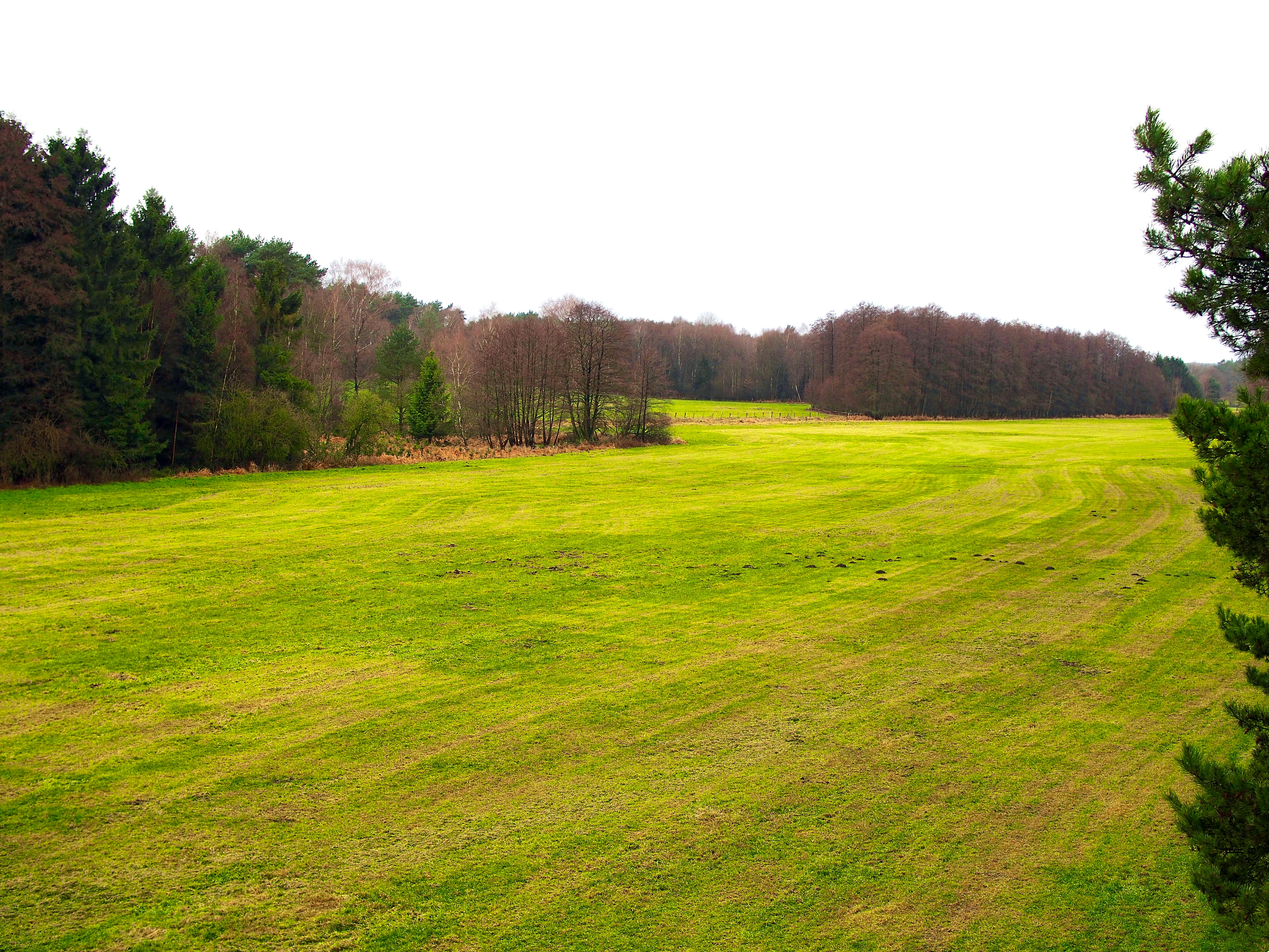 Er heißt mal so, mal so und bleibt dabei doch derselbe — Shorthand Social