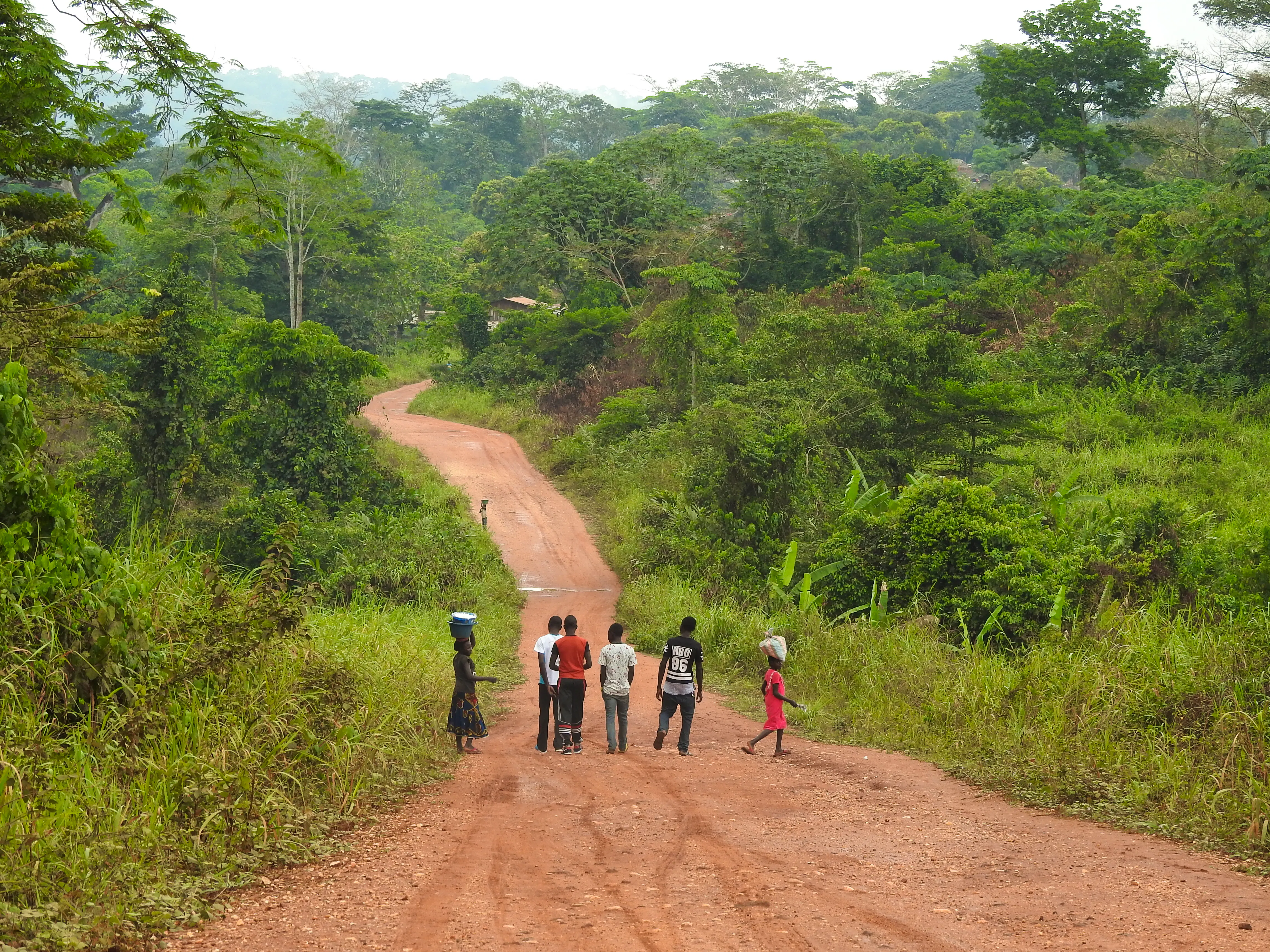 Scaling Up Malaria Prevention Shorthand Social