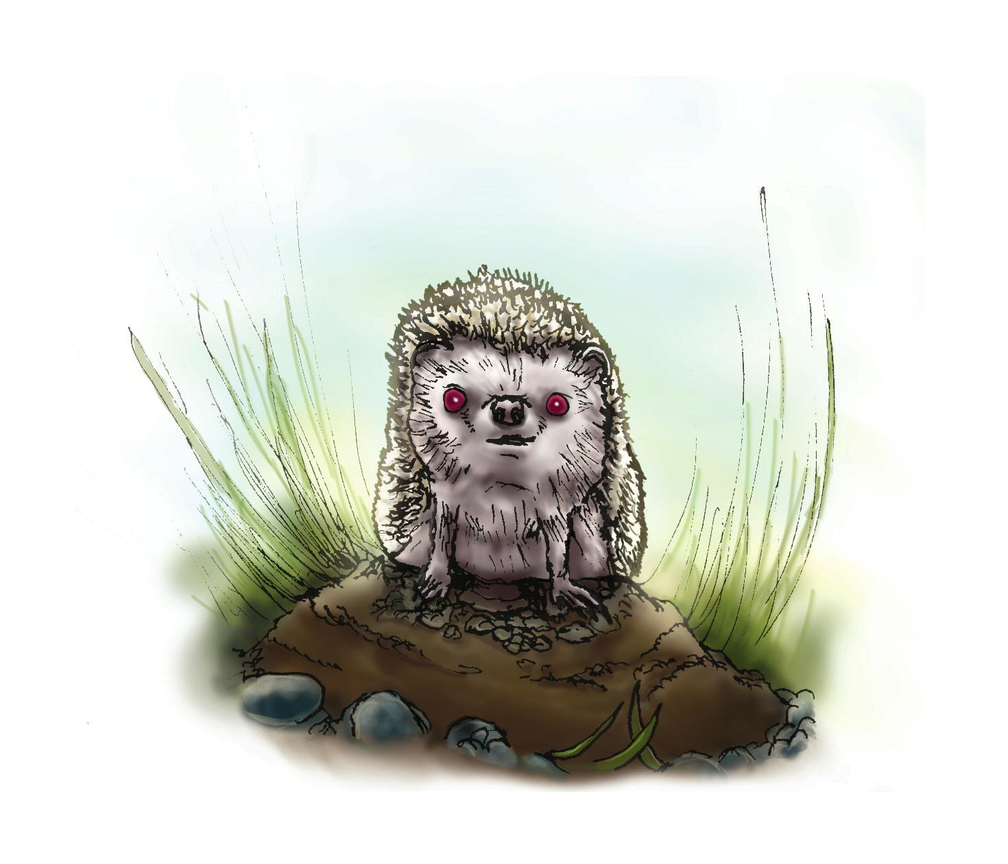 The teenager with a special gift and a story with a special message ...