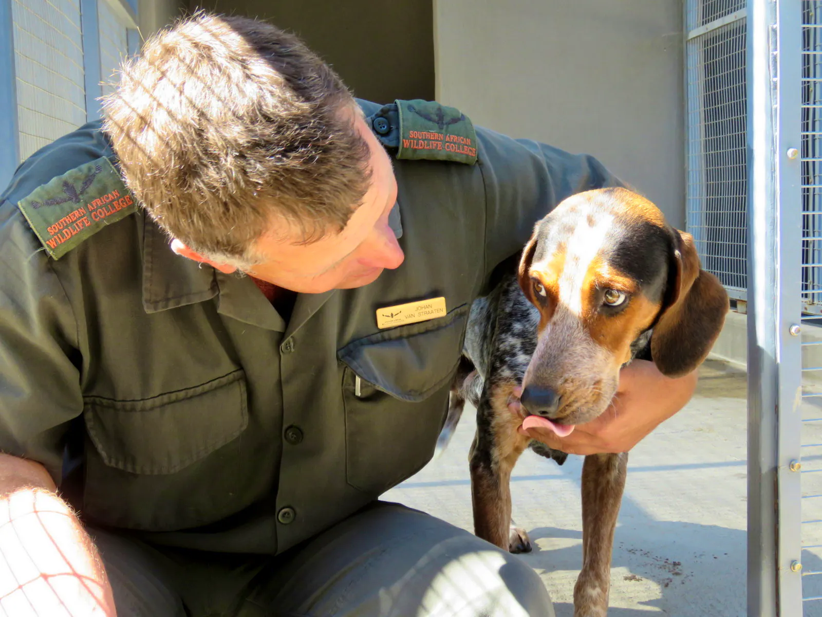 K9 Unit welcomes puppies — Shorthand Social