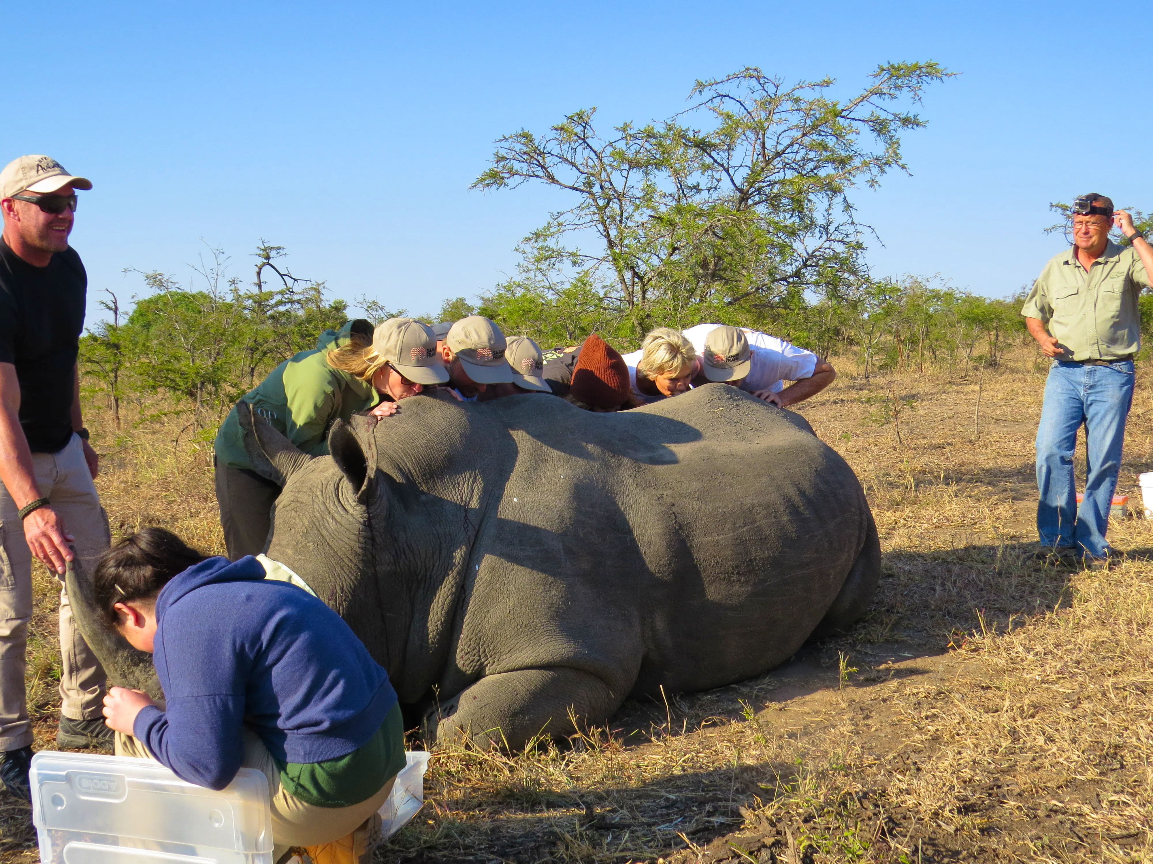 Conservation in Action — Shorthand Social