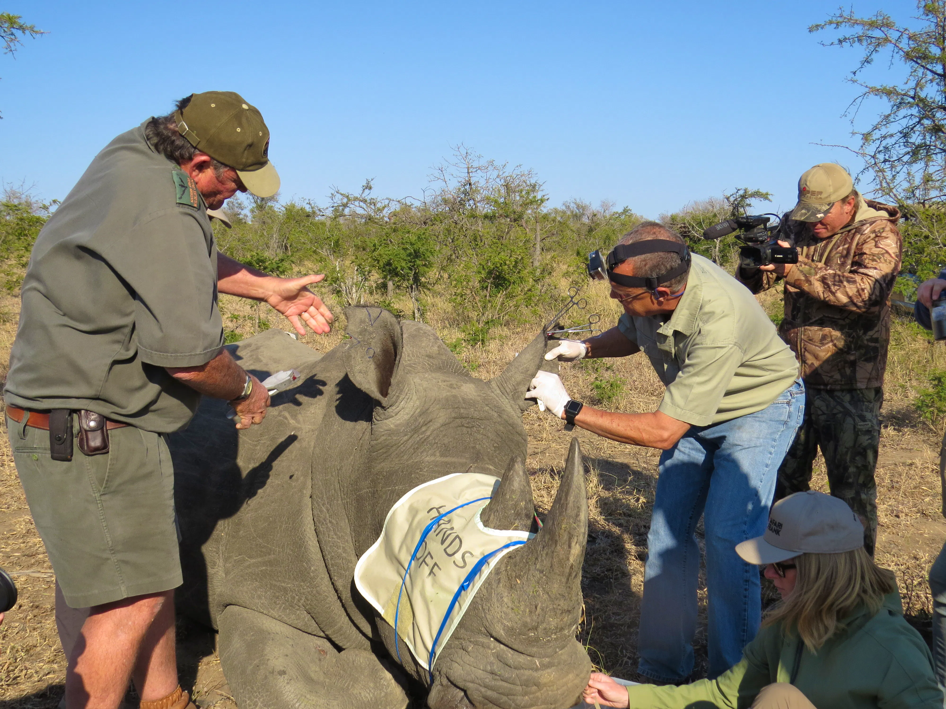 Conservation in Action — Shorthand Social