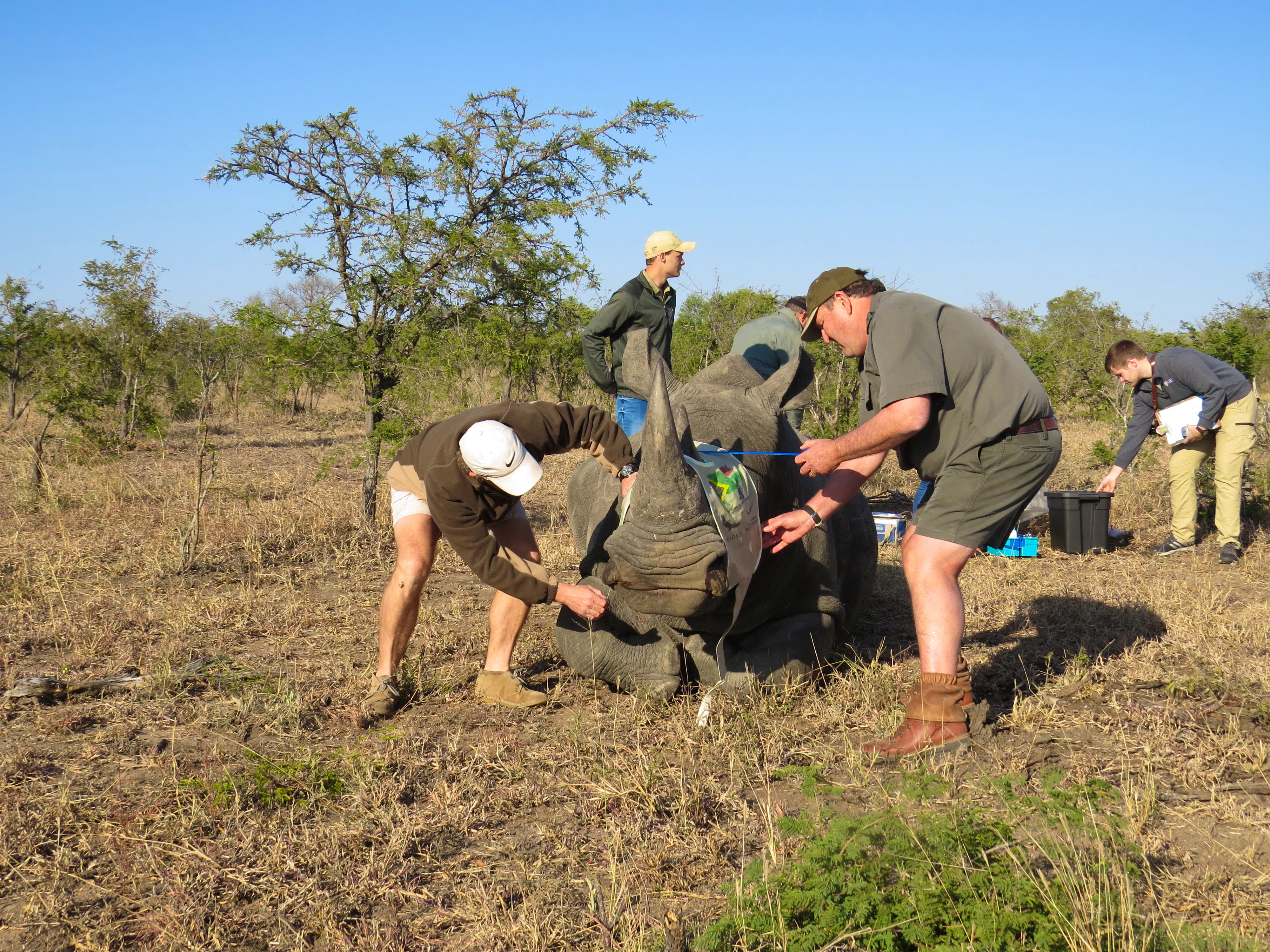 Conservation in Action — Shorthand Social