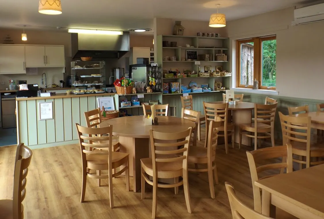 Top 5 Reasons to Visit Murton Farm — Shorthand Social