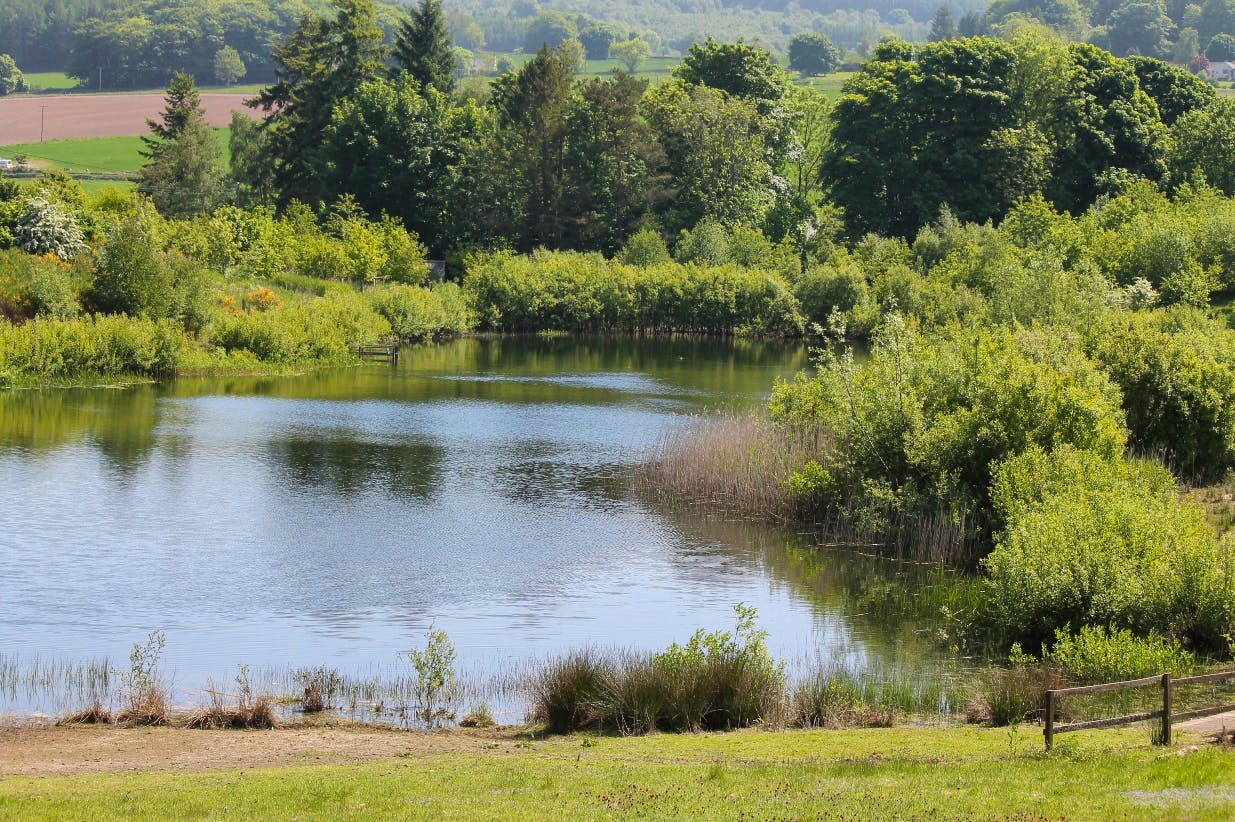 Top 5 Reasons to Visit Murton Farm — Shorthand Social