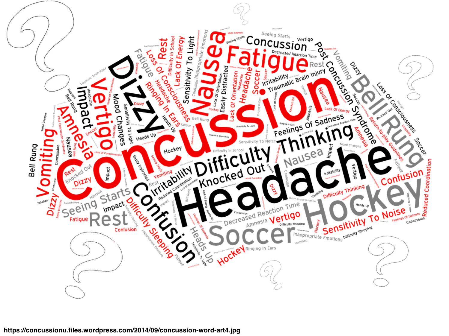 Blood Test for Concussions? — Shorthand Social
