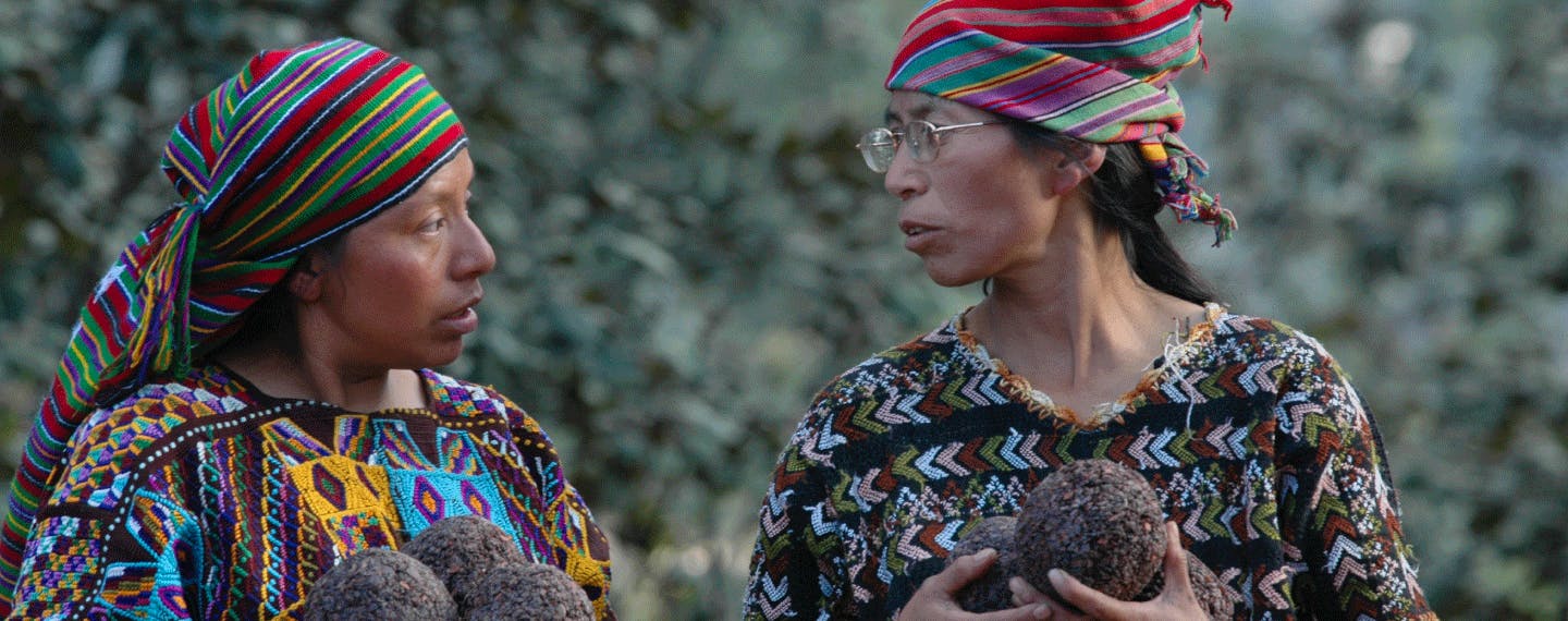 SOCHUM II: Education in Indigenous Communities — Shorthand Social