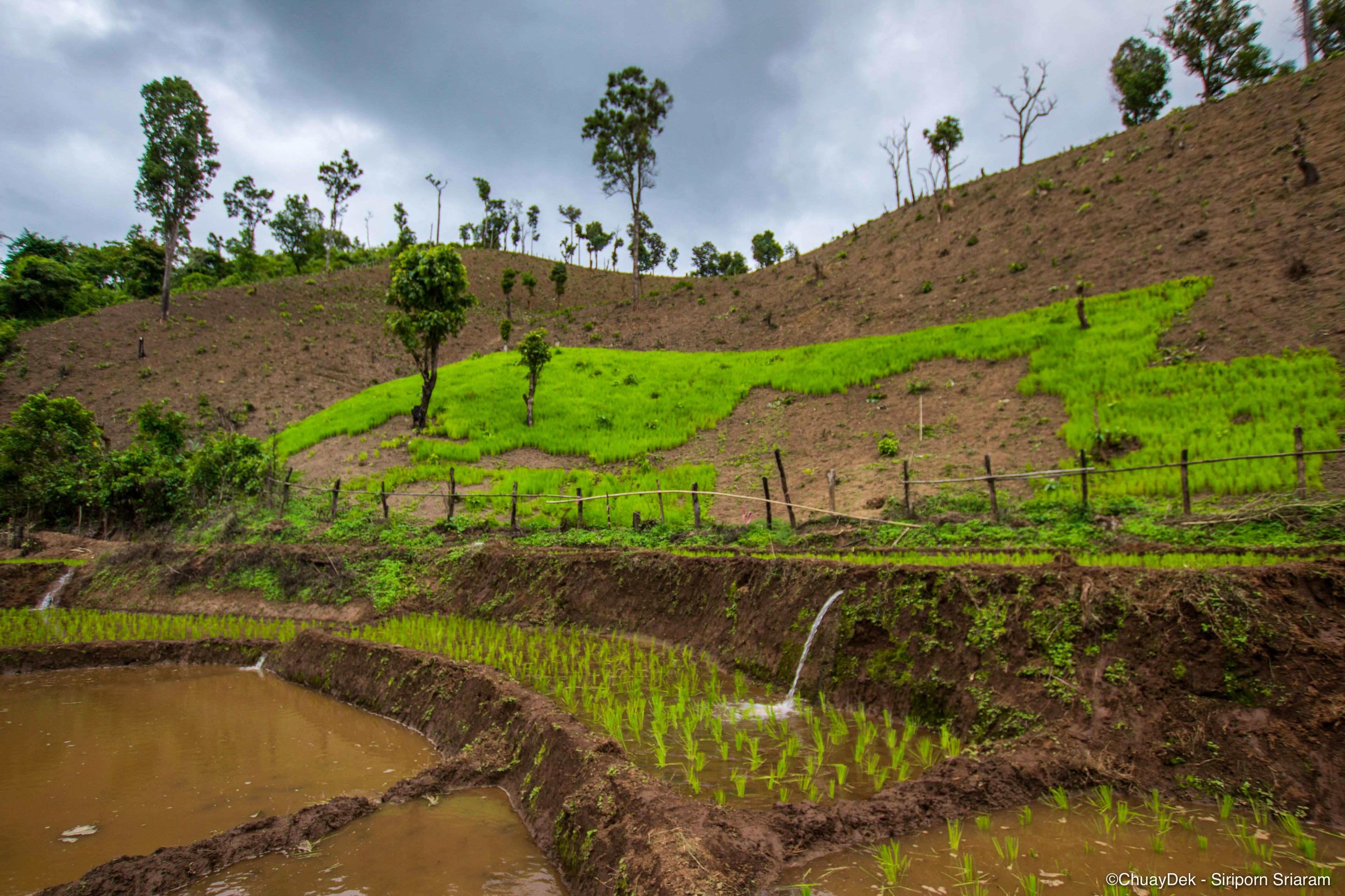 Discovering Moki — Shorthand Social