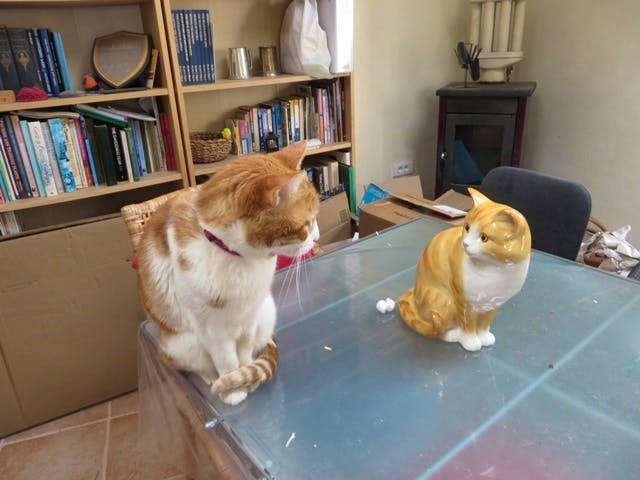 Life in a Dol house 2018 - Week 15 — Shorthand Social