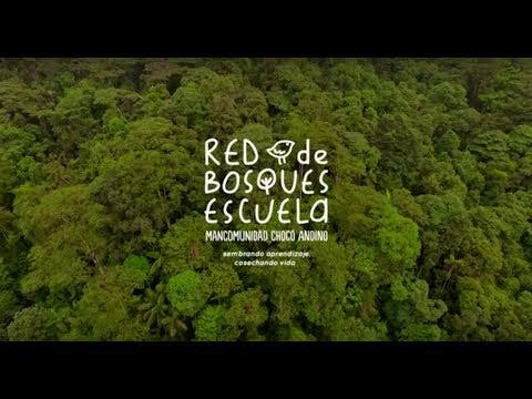 Programa Bosque Andinos — Shorthand Social