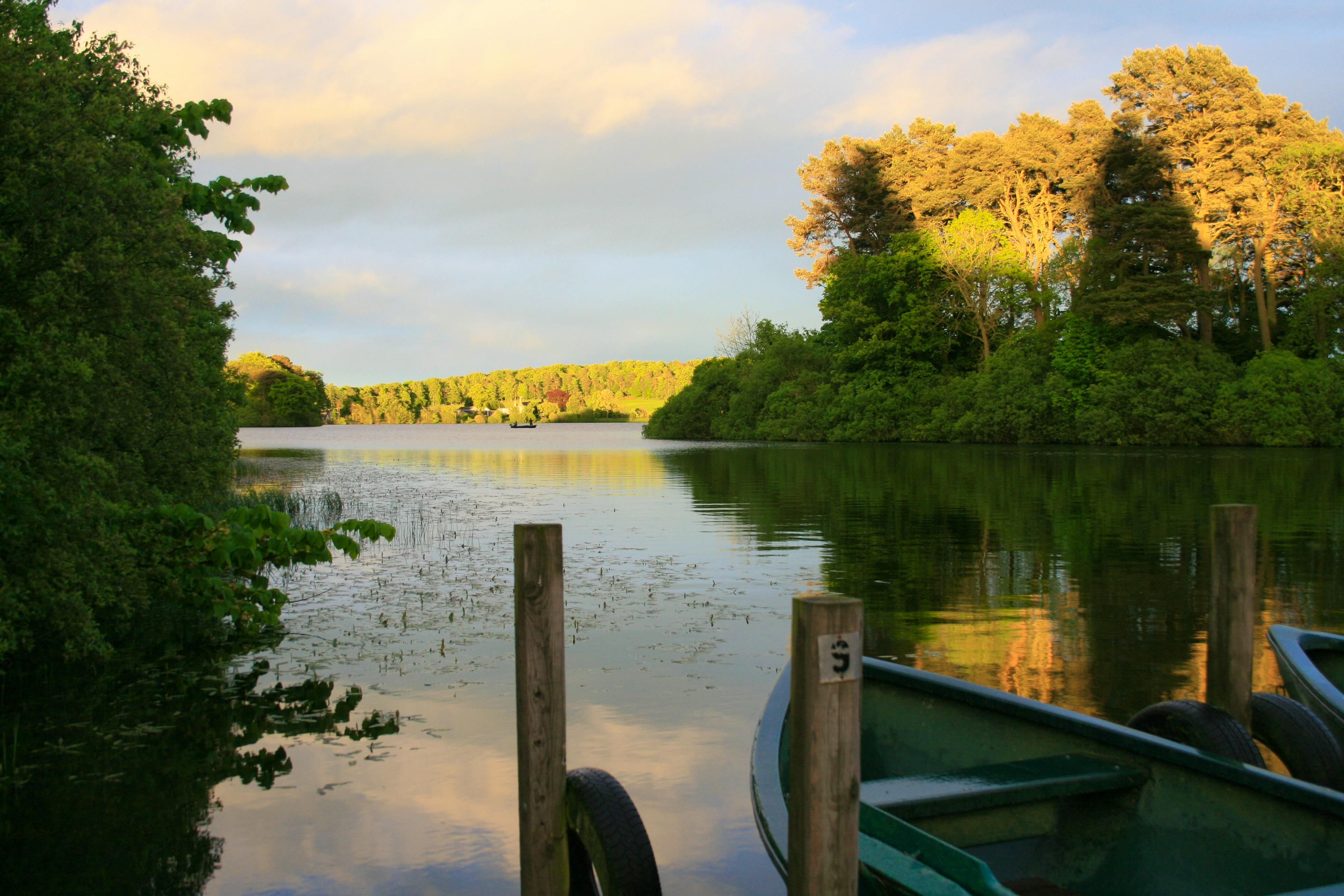 Experience Angus Country Parks — Shorthand Social