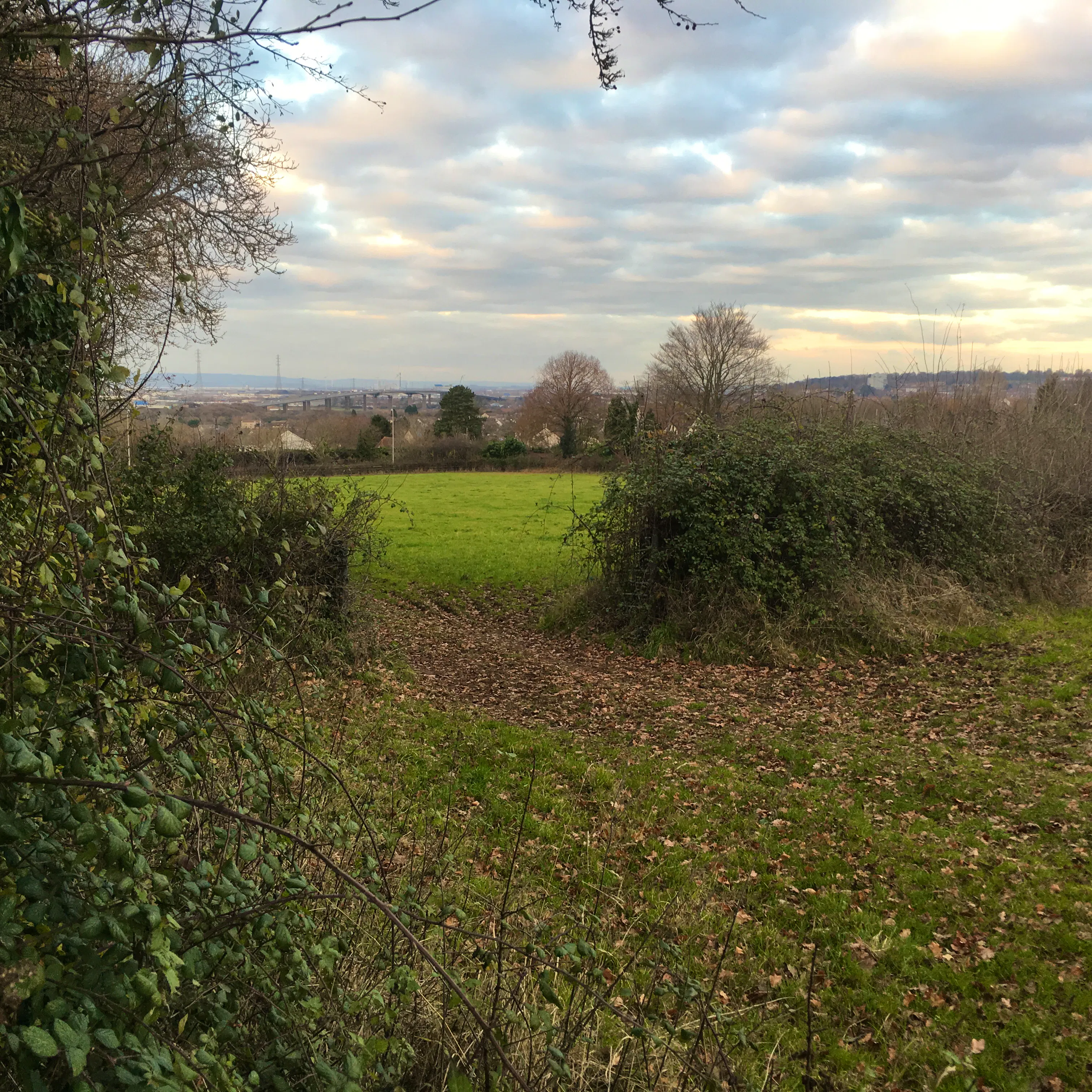 Lower Failand — Shorthand Social