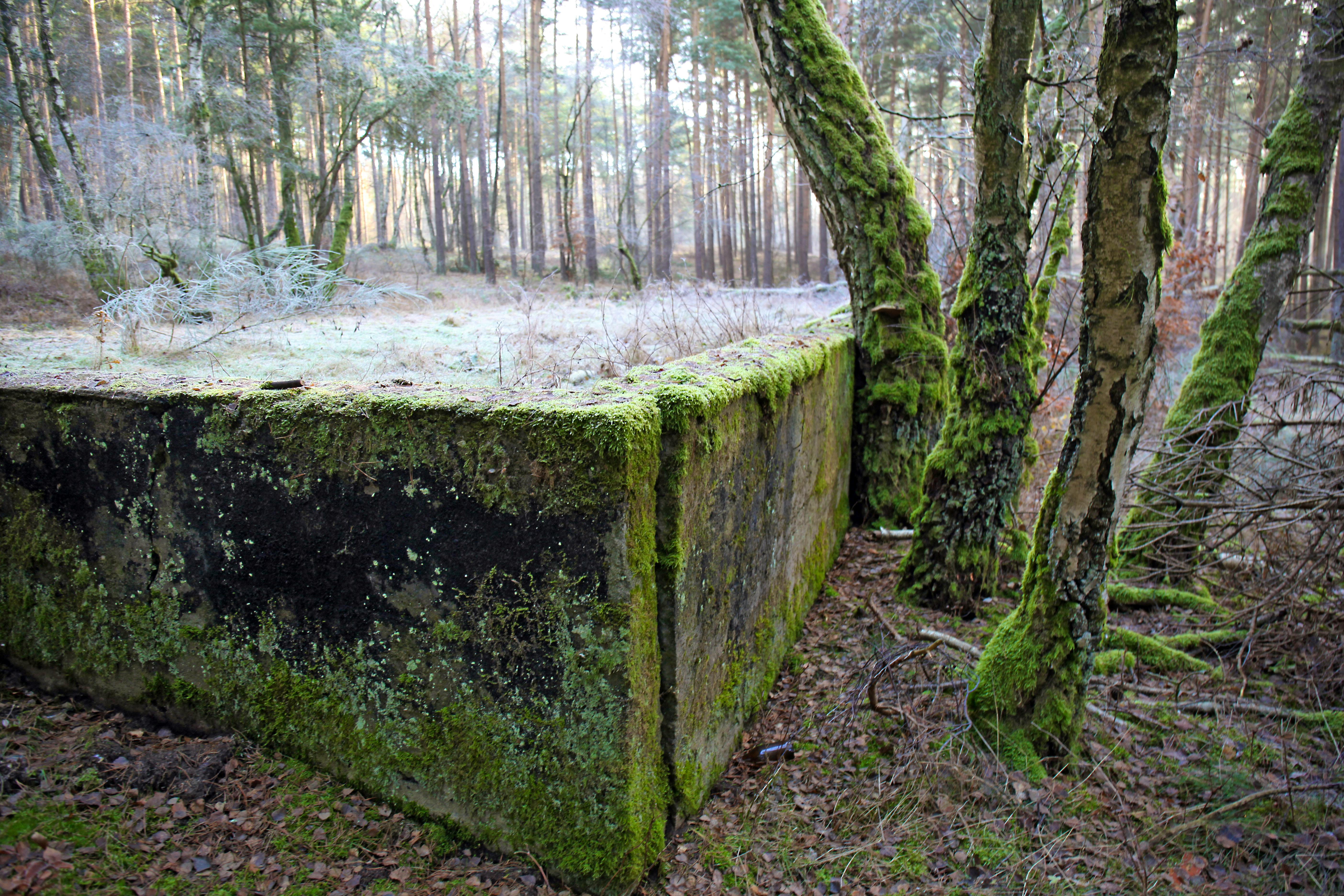 Vergessener Ort am Blauen Berg — Shorthand Social