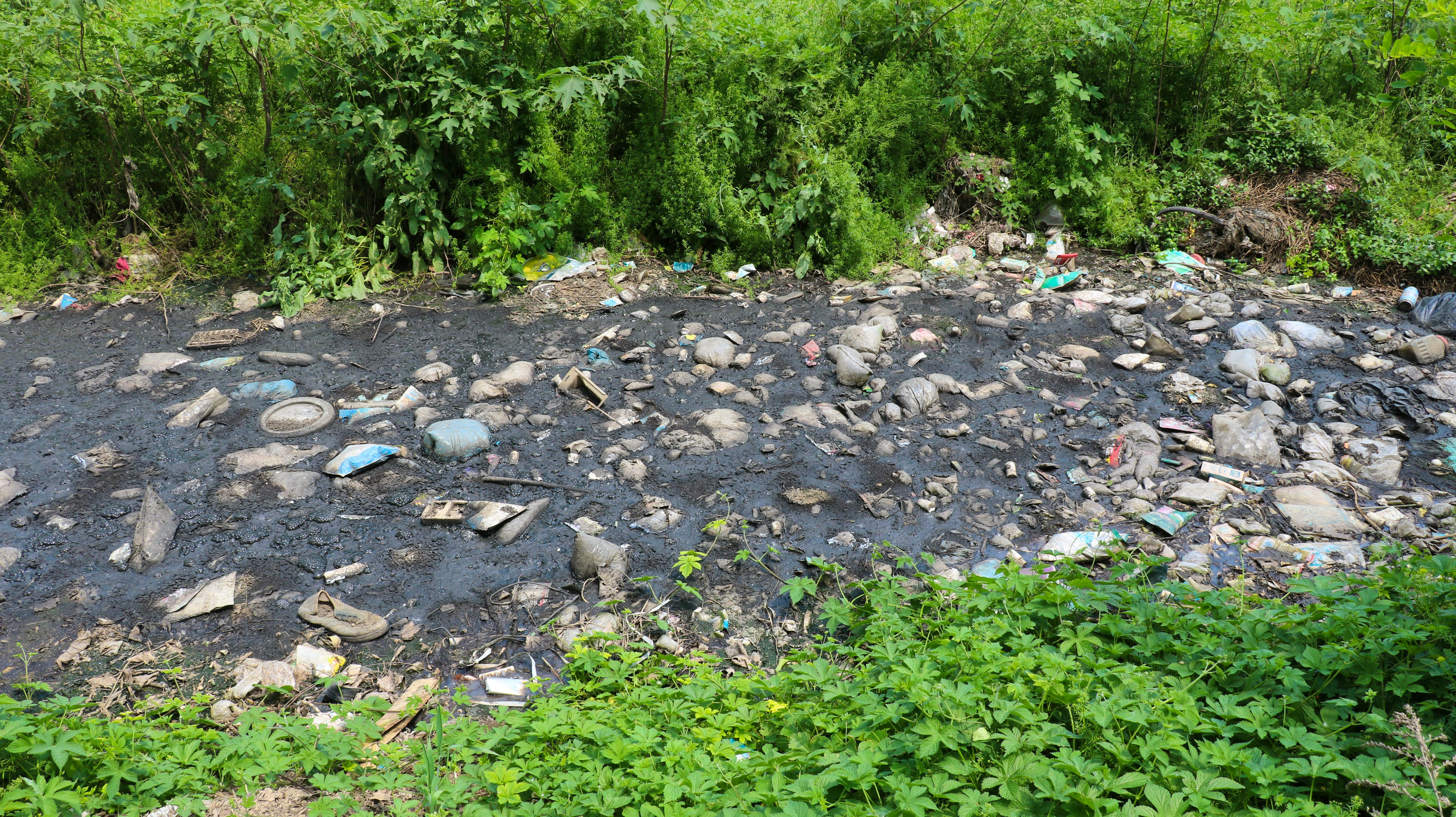 Tainted Water in Rural China — Shorthand Social