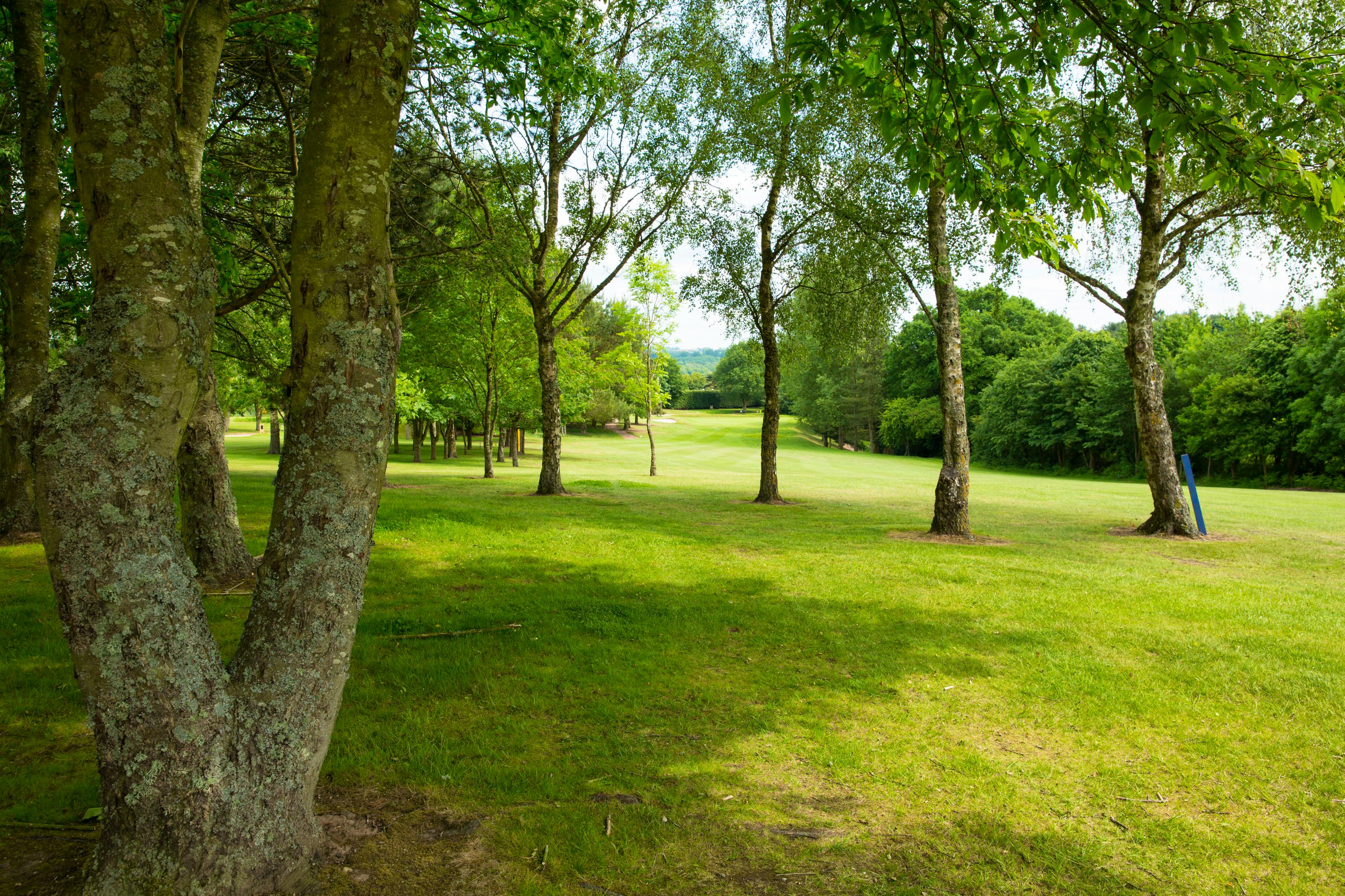 Churchill & Blakedown Golf Club — Shorthand Social