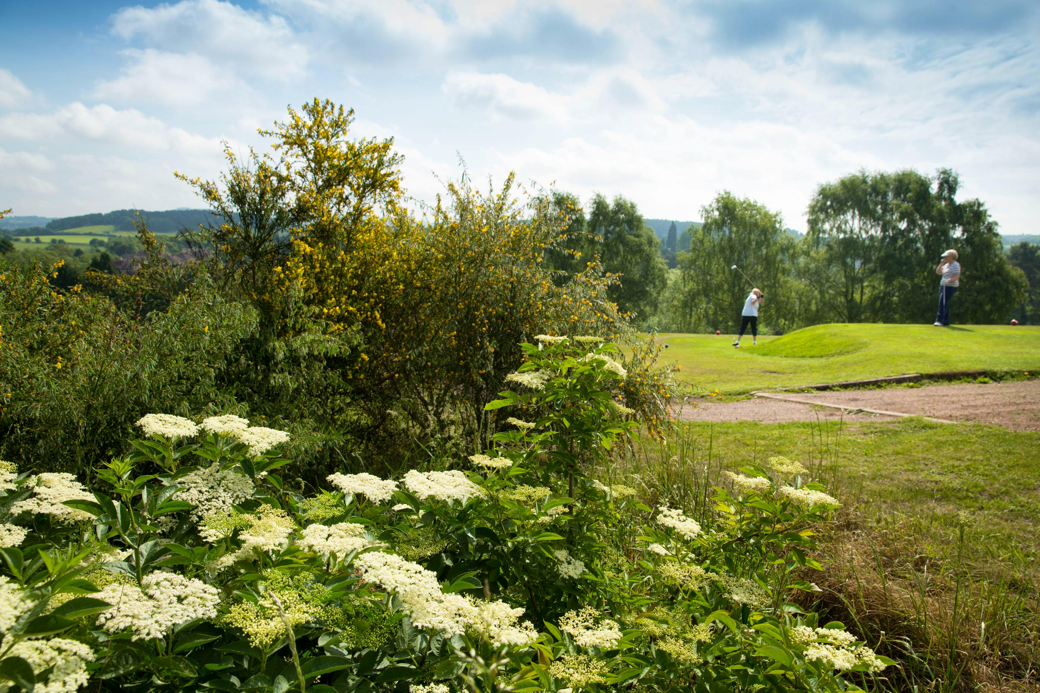 Churchill & Blakedown Golf Club — Shorthand Social