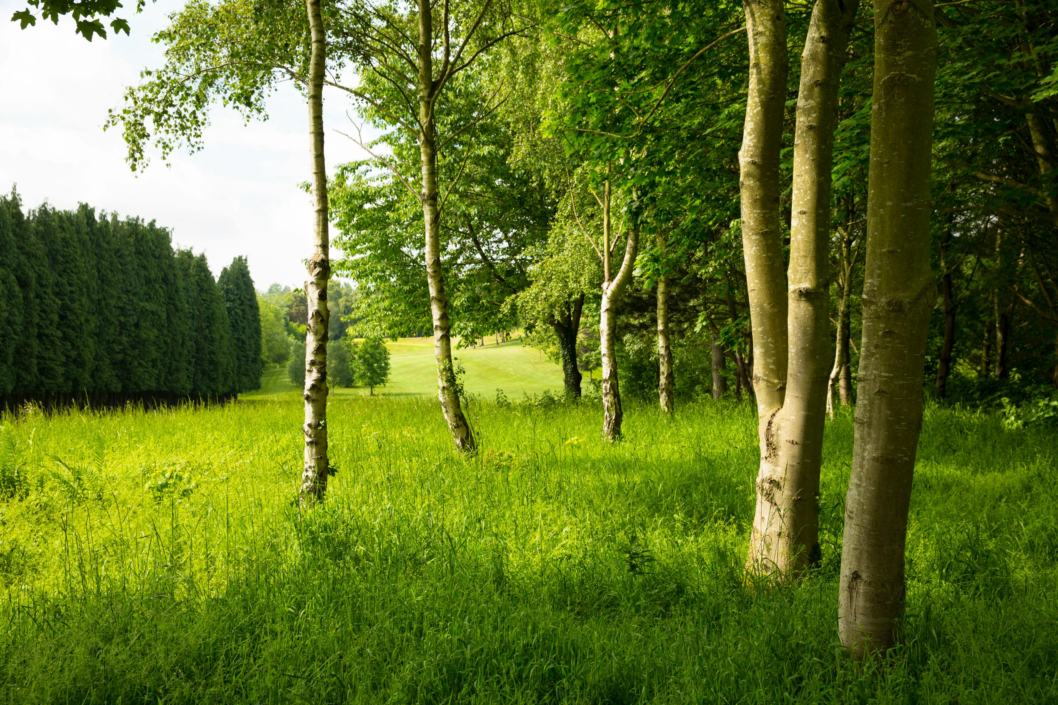 Churchill & Blakedown Golf Club — Shorthand Social