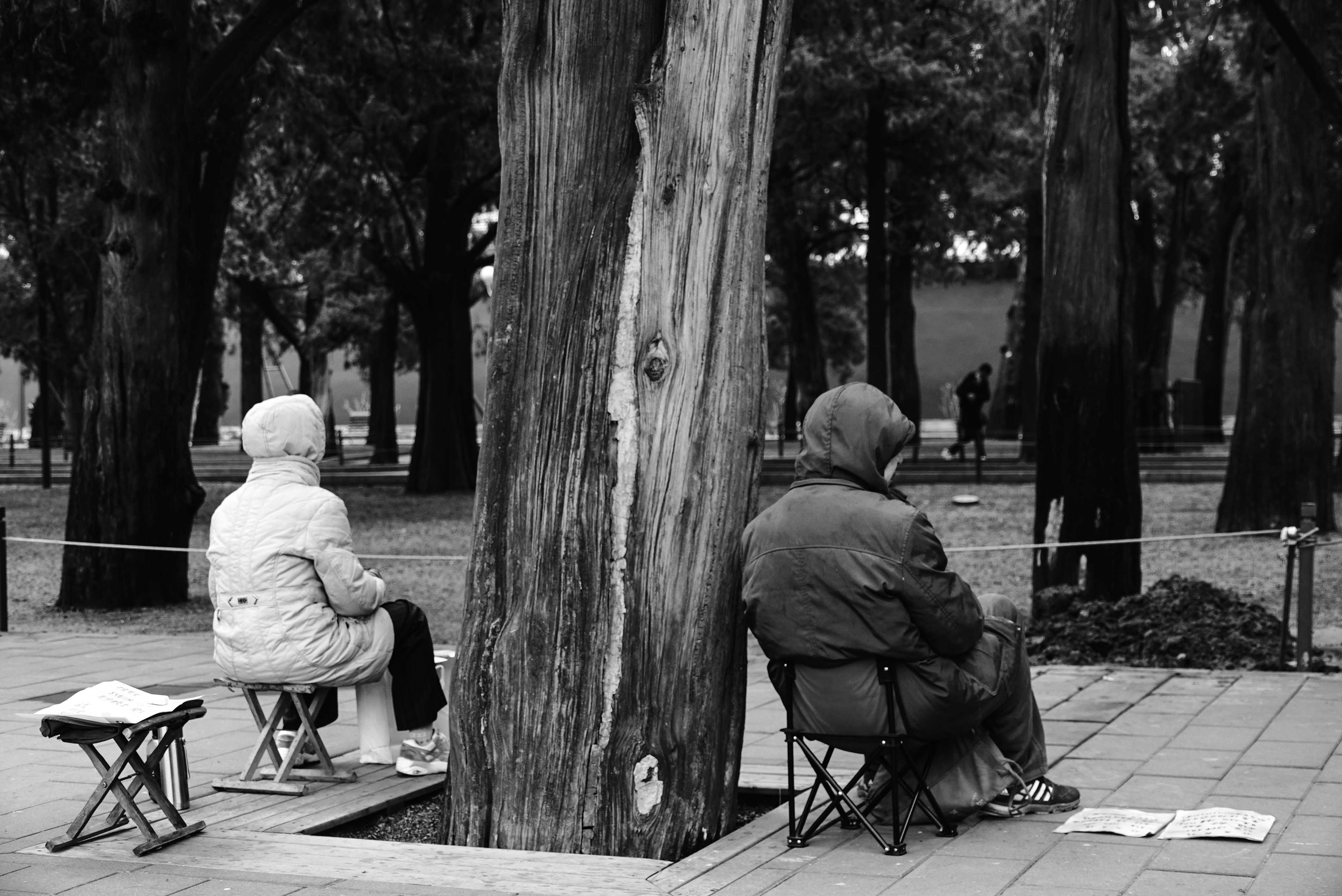 Matchmaking Corner in China — Shorthand Social