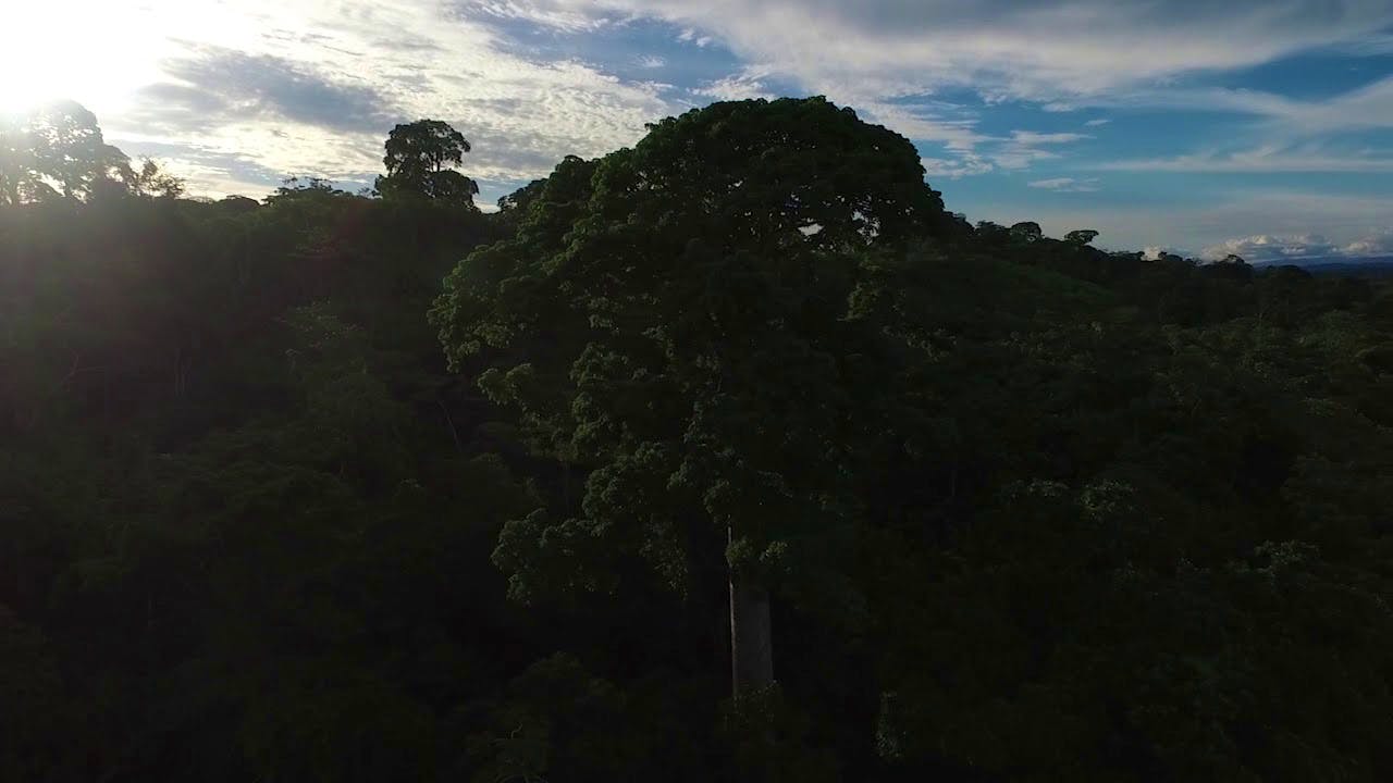 Rio Tuira - Mundo Entre Mundos — Shorthand Social