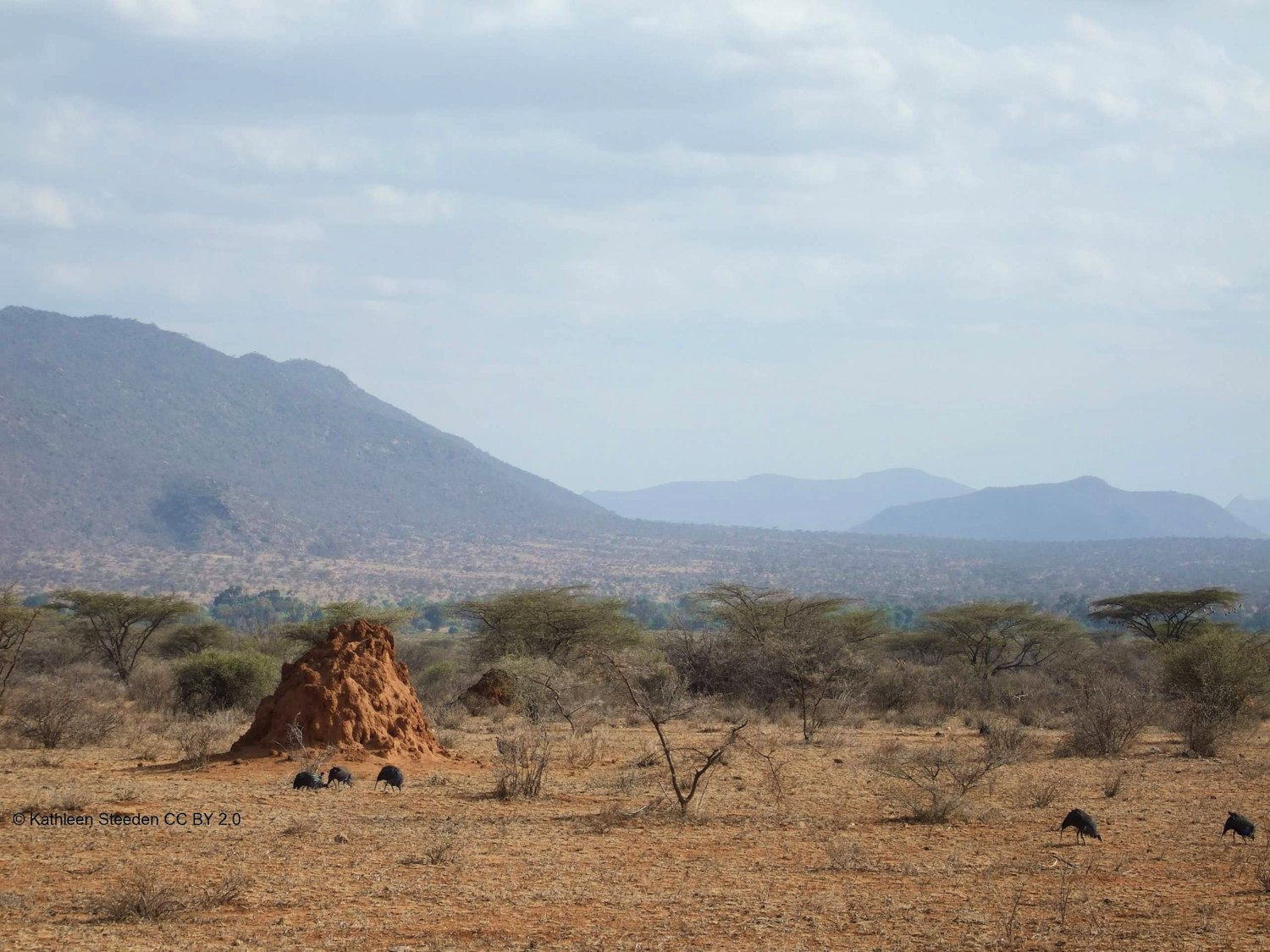 Lands Of Hope — Shorthand Social