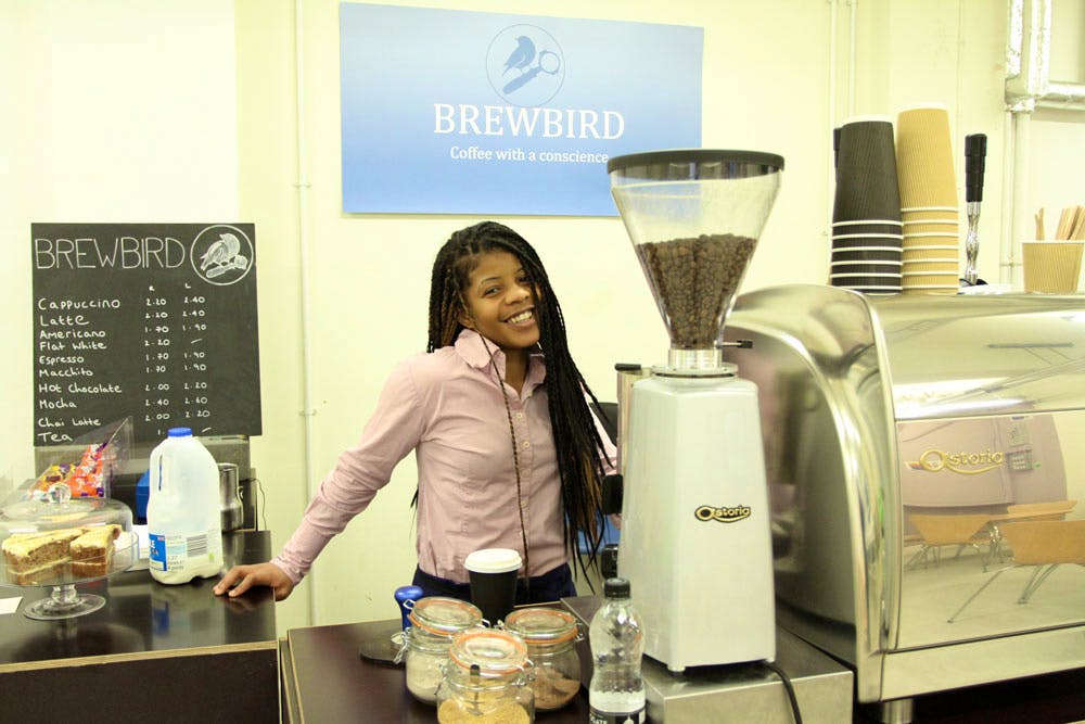 Brewbird Coffee — Shorthand Social