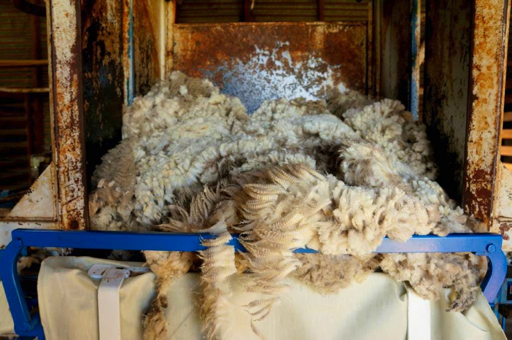 Inside a shearing shed — Shorthand Social