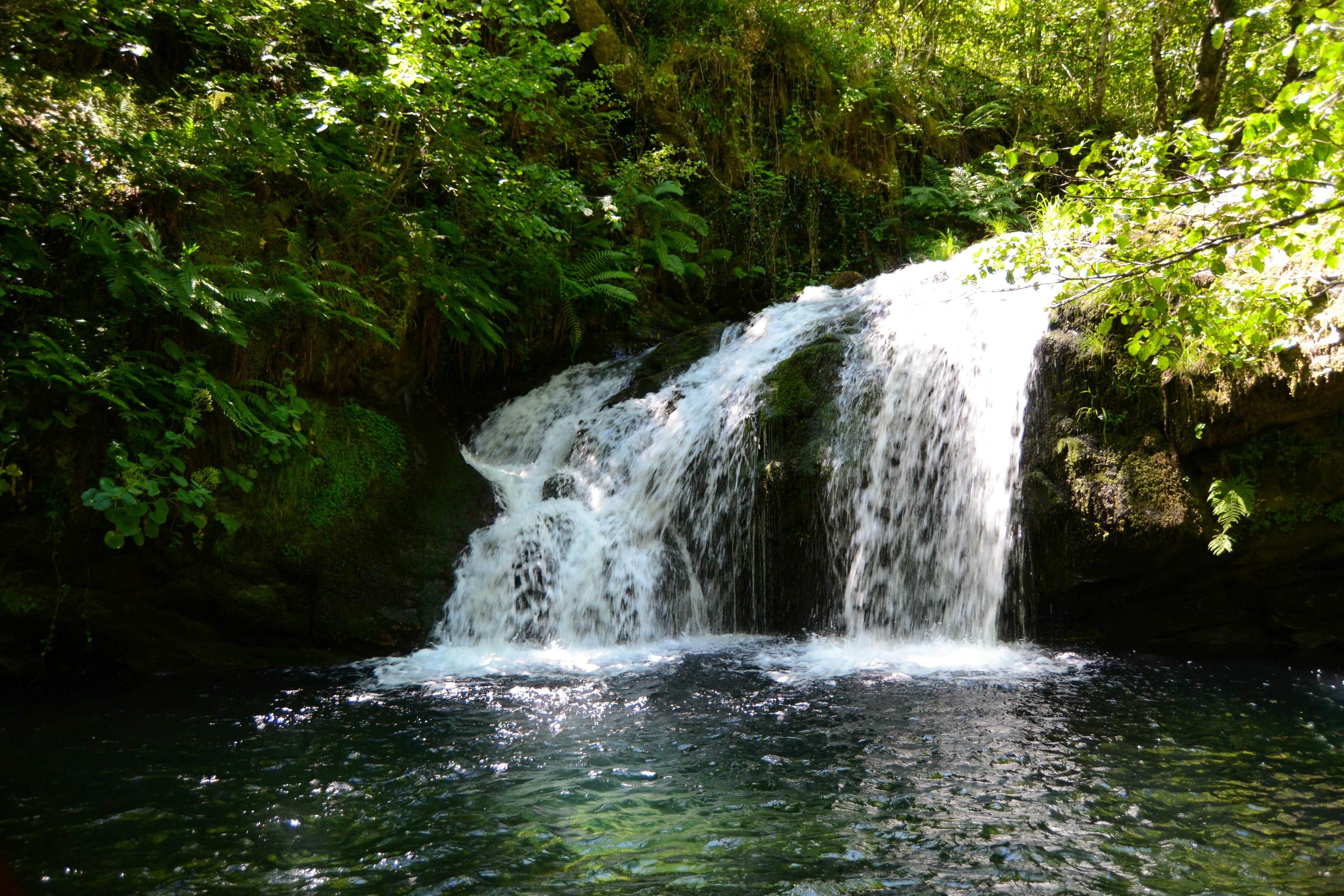As fervenzas do río Selmo — Shorthand Social