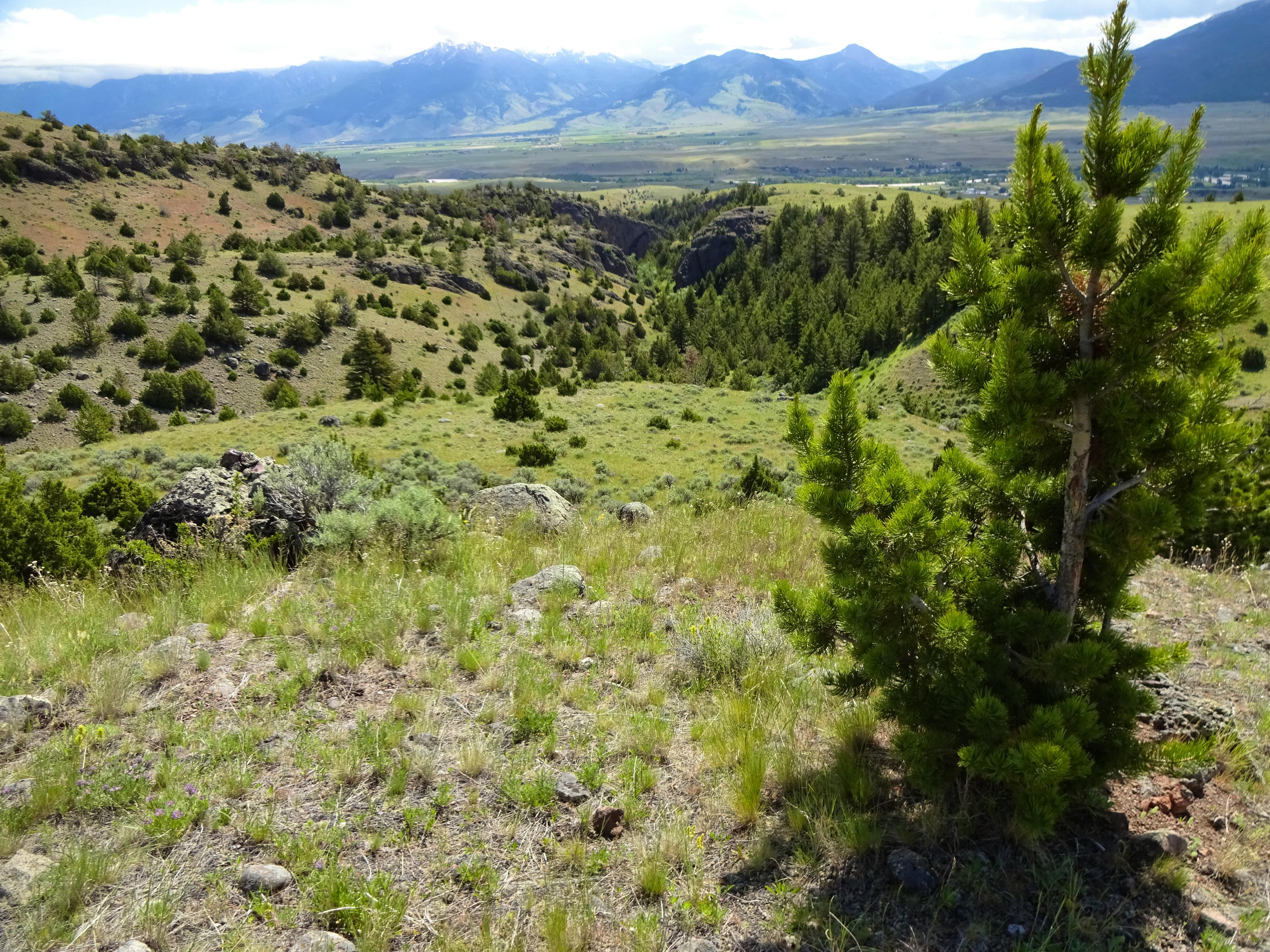 The Secret Valley — Shorthand Social