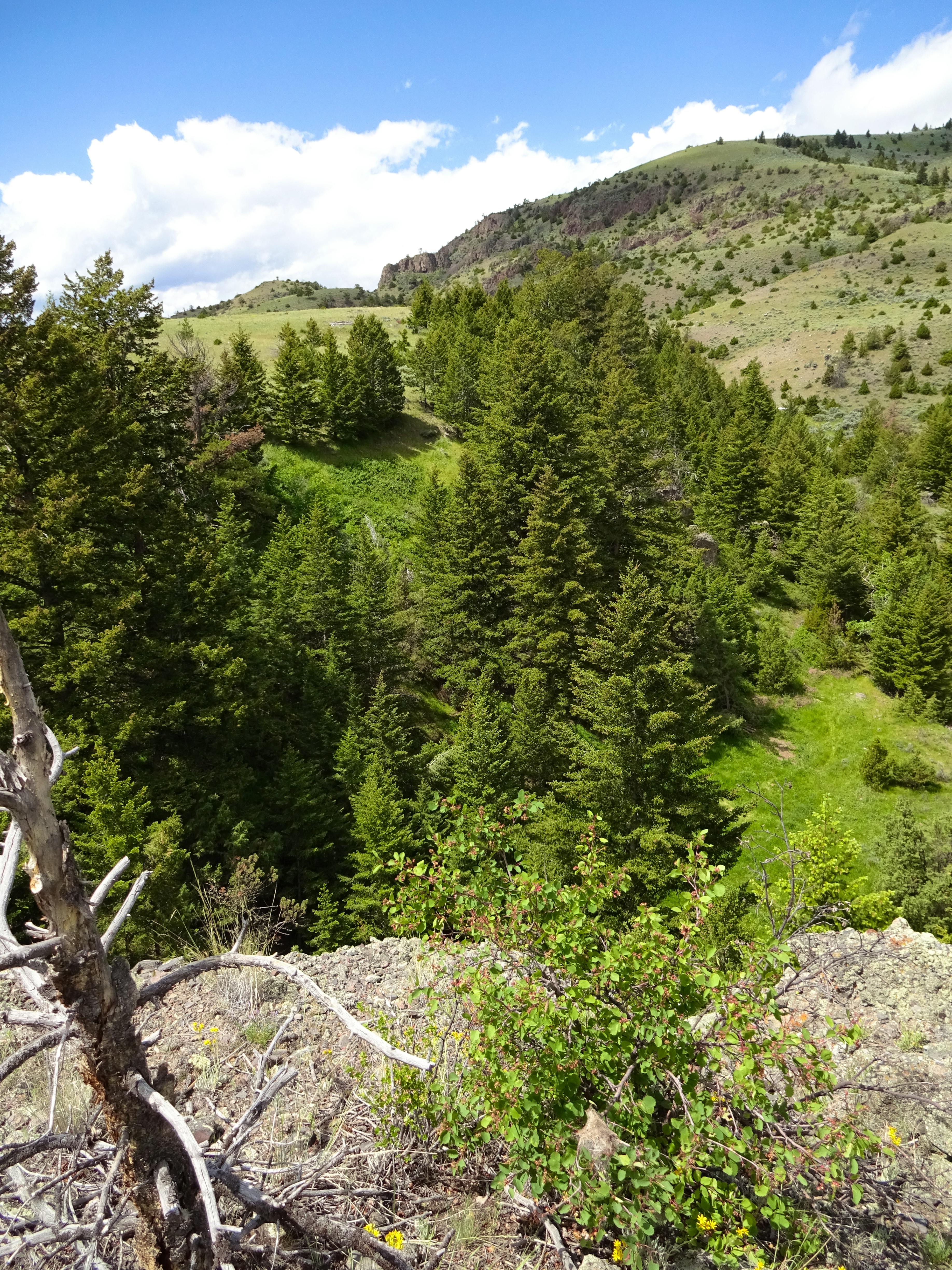 The Secret Valley — Shorthand Social