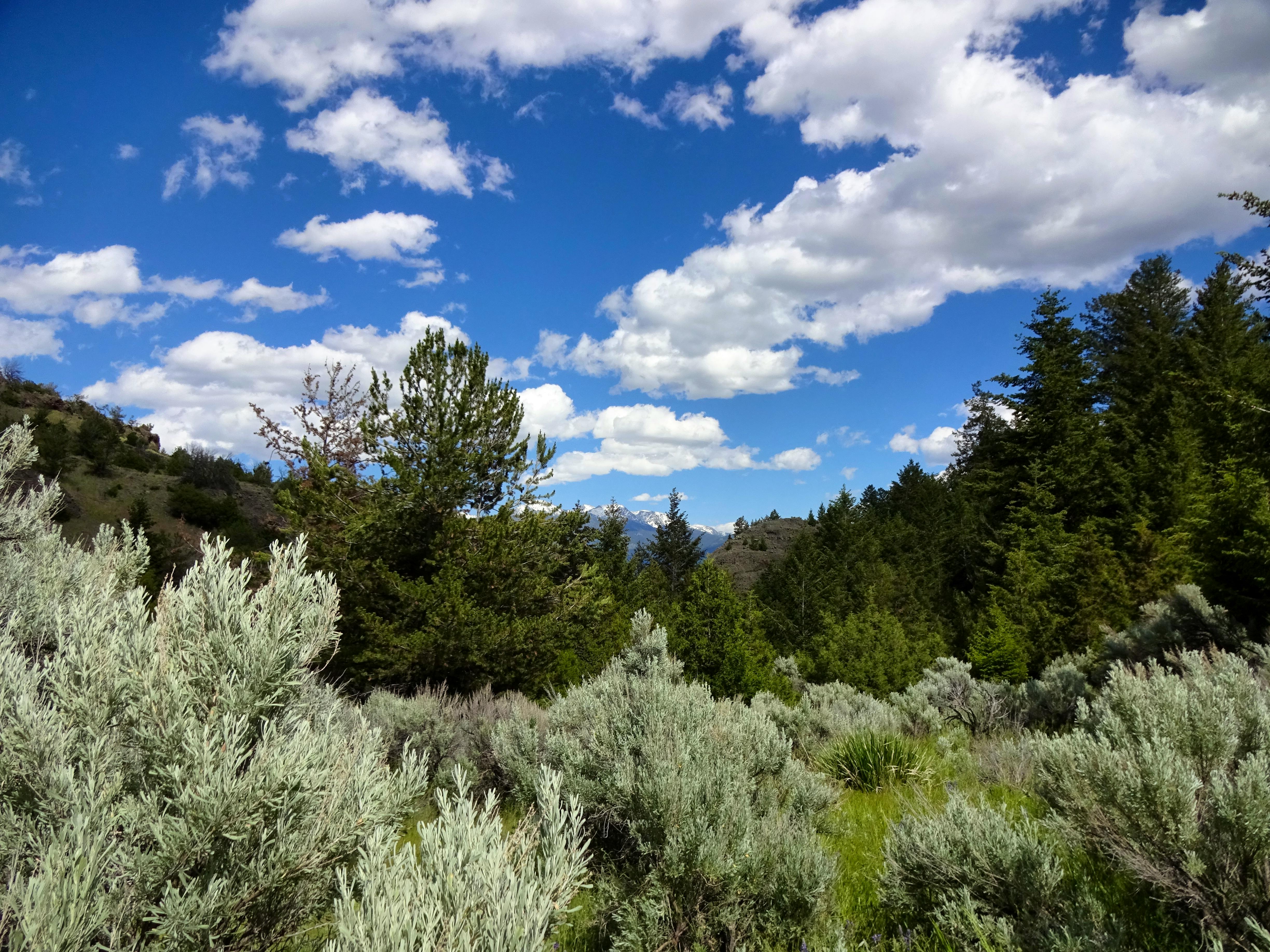 The Secret Valley — Shorthand Social