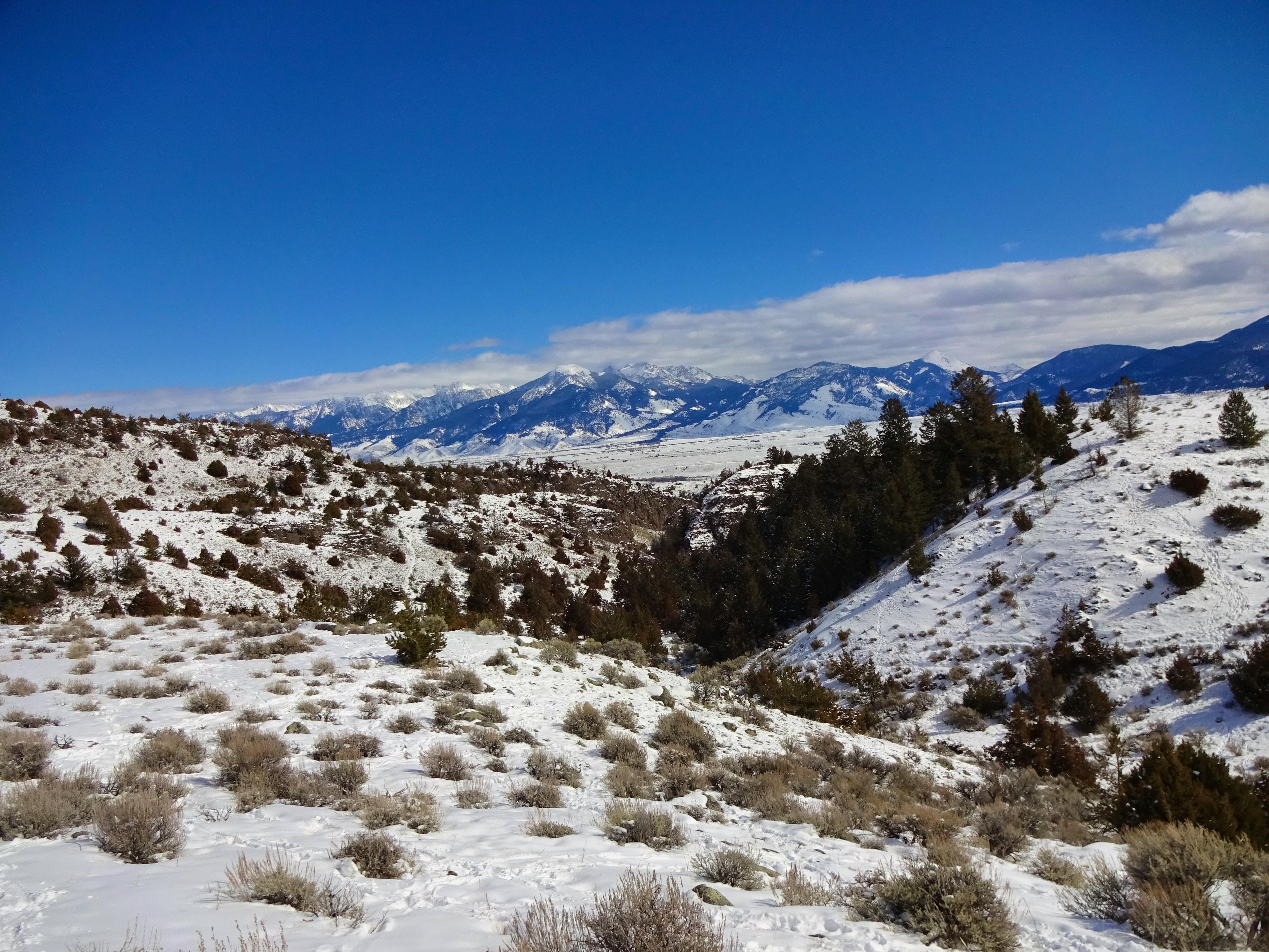 The Secret Valley — Shorthand Social