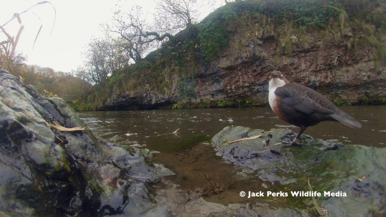 Derbyshire Rivers - Now and Forever — Shorthand Social