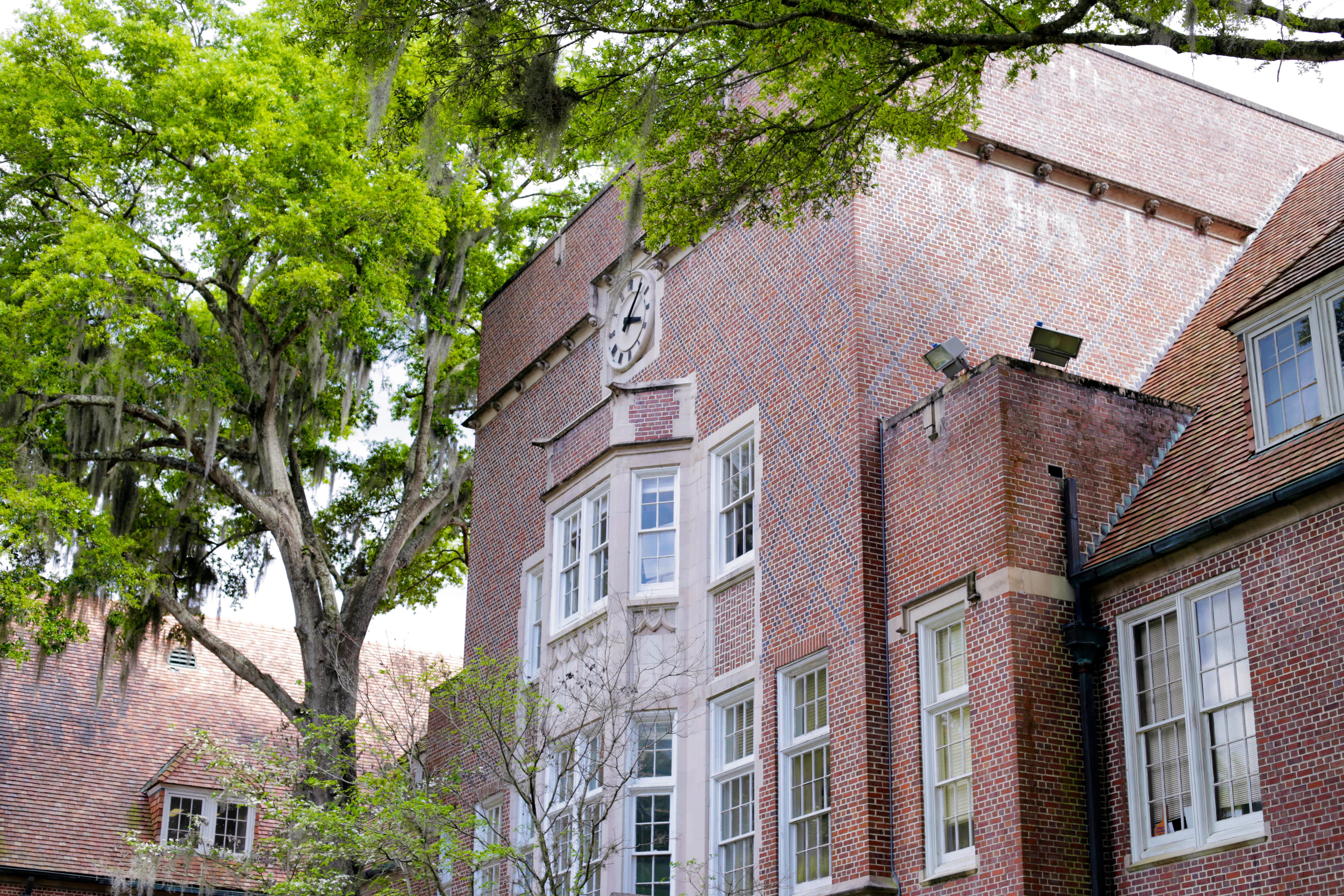 Love Letter to Norman Hall — Shorthand Social