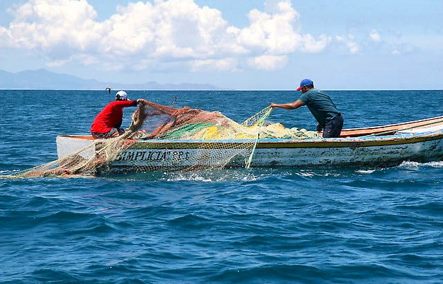 Actividad pesquera garantizará mayor producción y acceso de este rubro ...