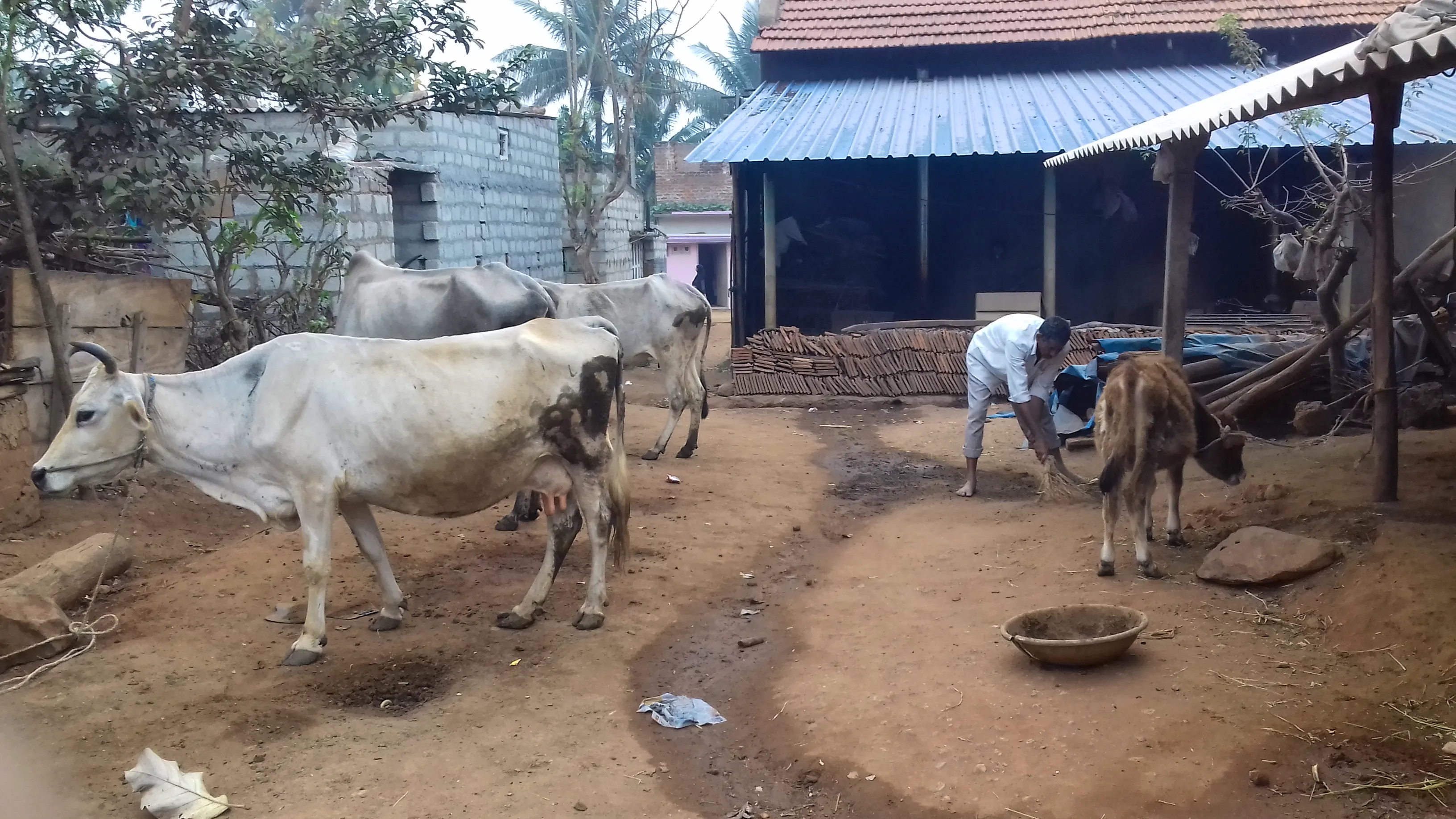 The untold story of Azad Nagar — Shorthand Social