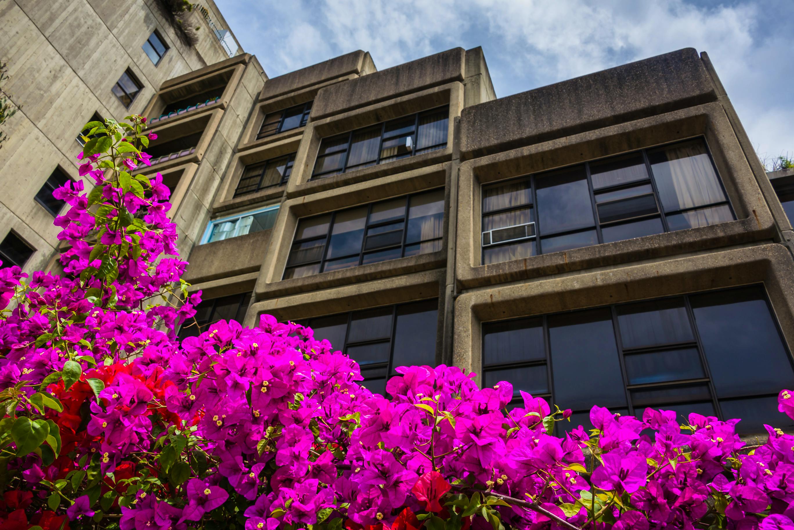 How the Sirius building was lost — Shorthand Social