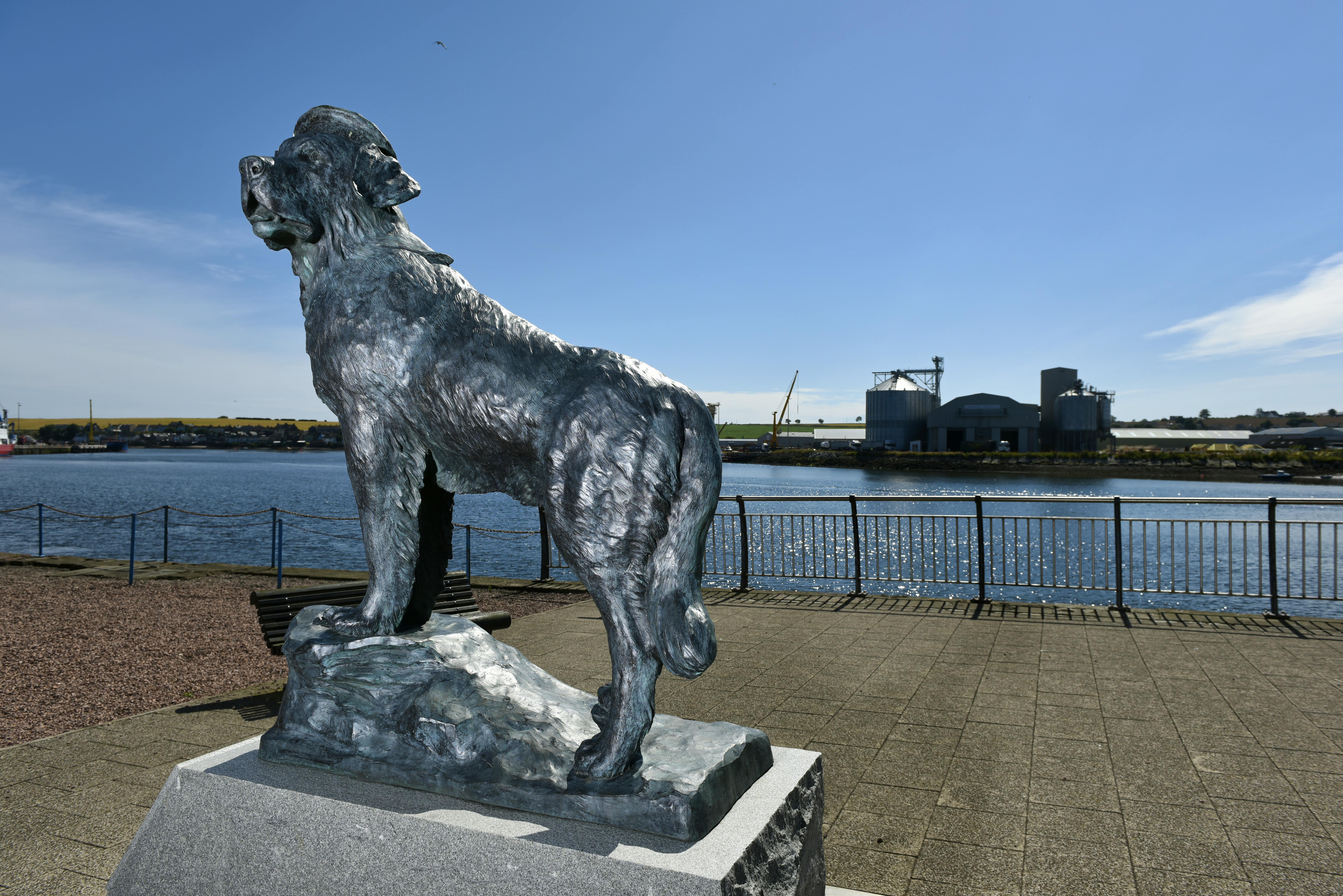 Explore the history of Angus — Shorthand Social